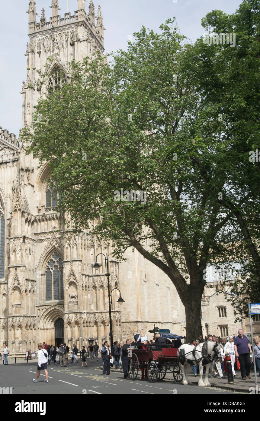 York Minster viewed from Duncombe Place Stock Photo - Alamy