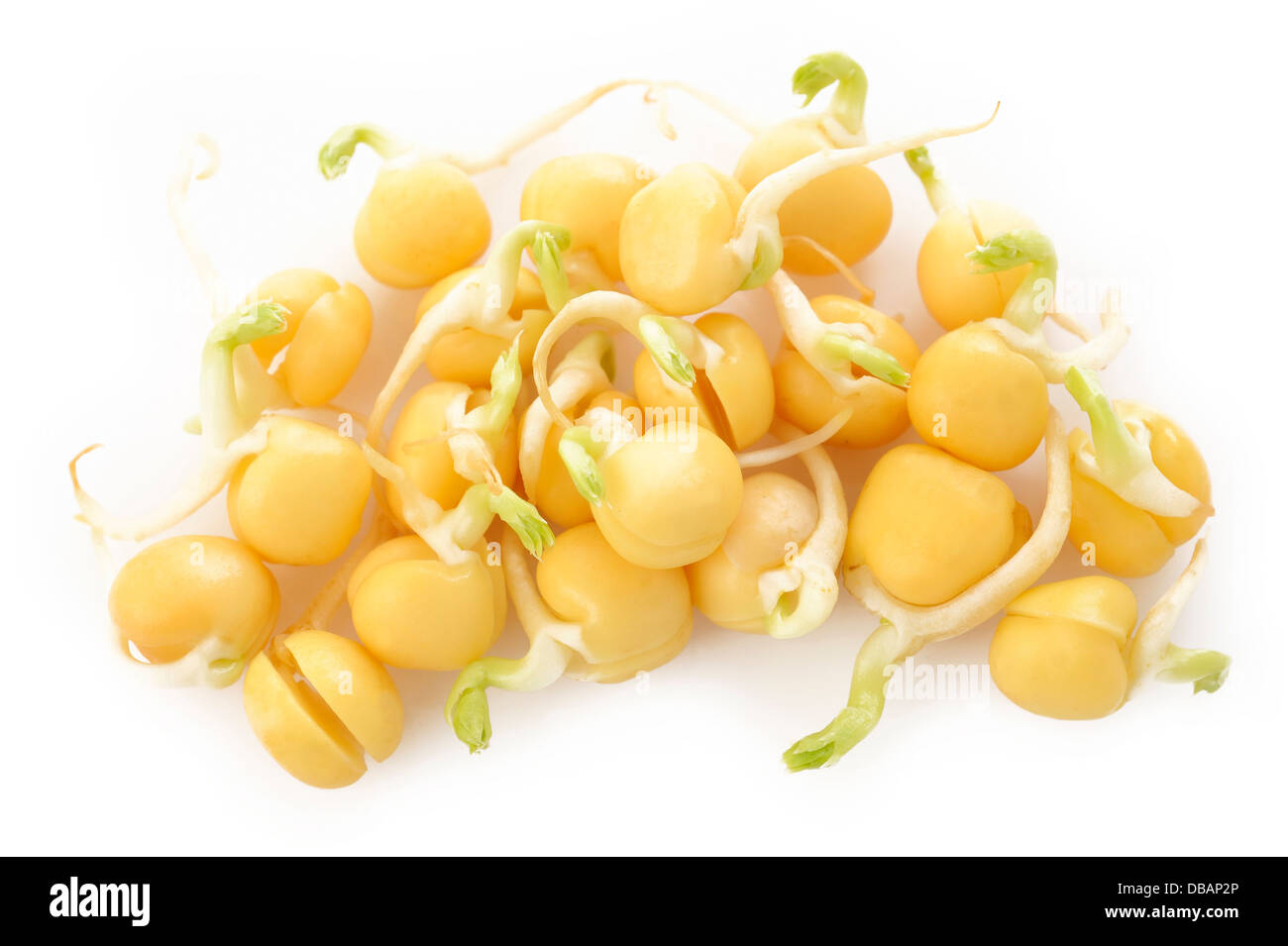 pea sprouts on white background Stock Photo - Alamy