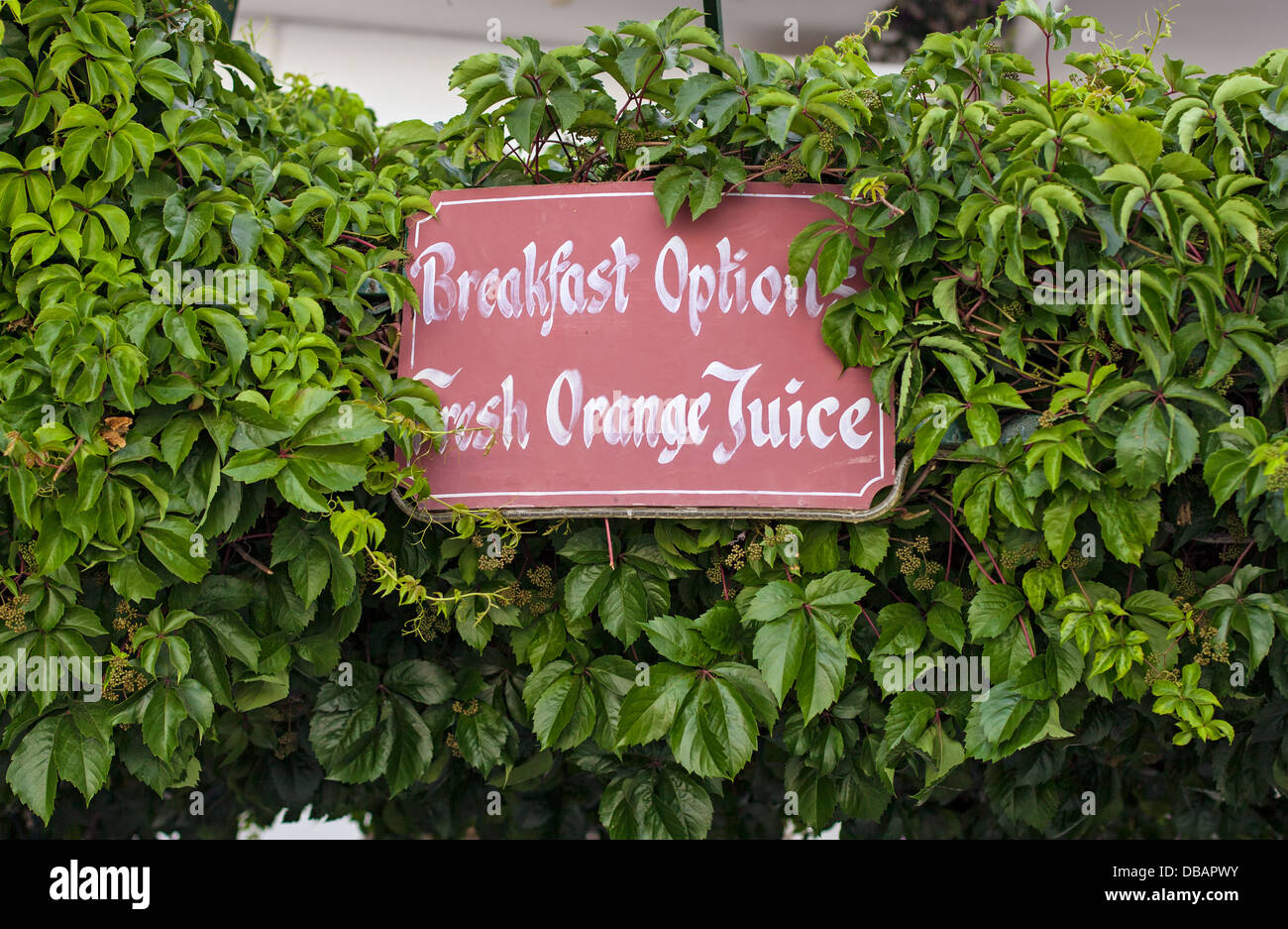 sign at the restaurant Stock Photo - Alamy