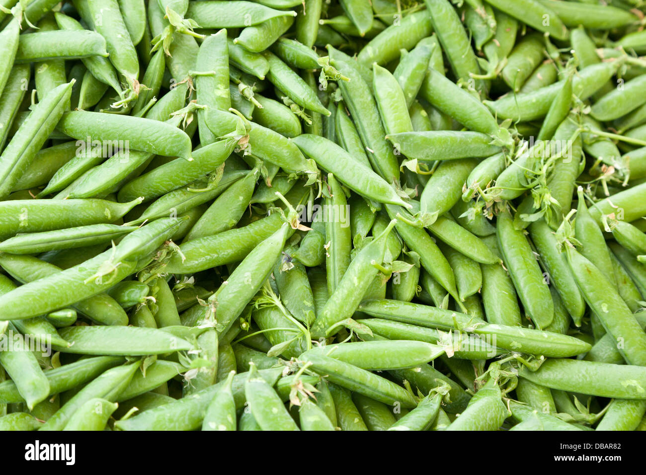 Green beens Stock Photo - Alamy