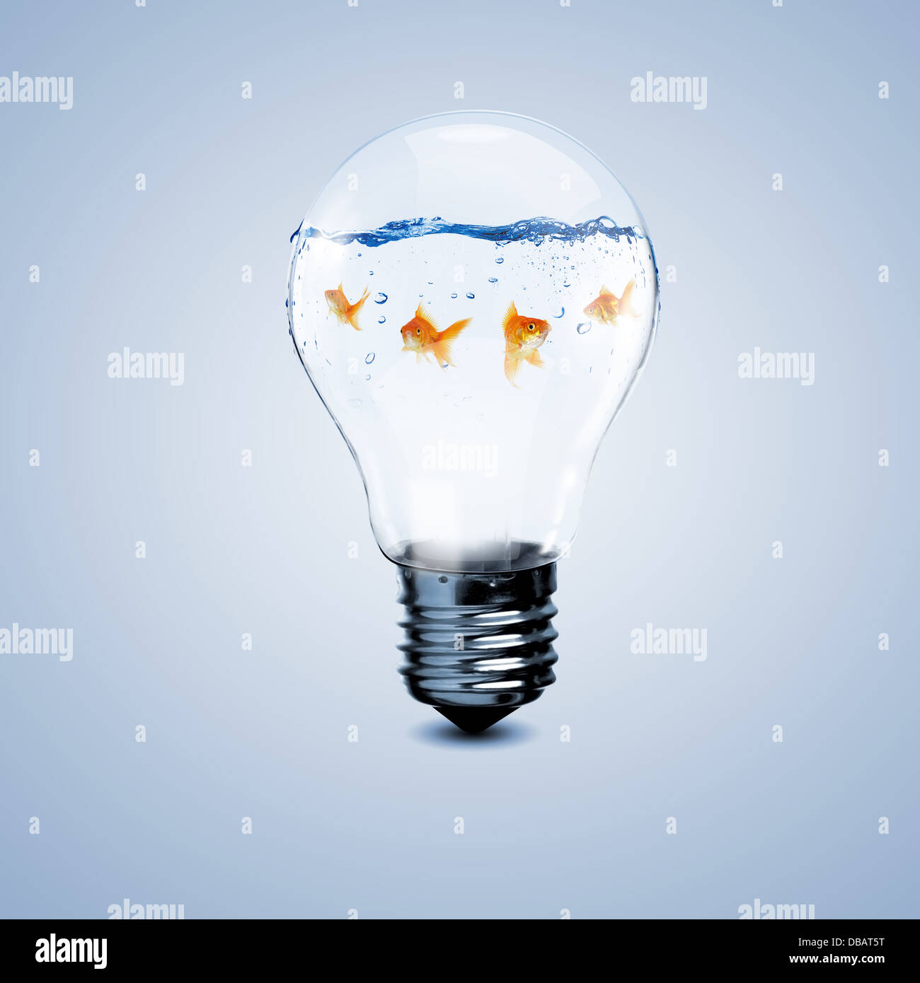 Gold fish inside an electric bulb Stock Photo - Alamy