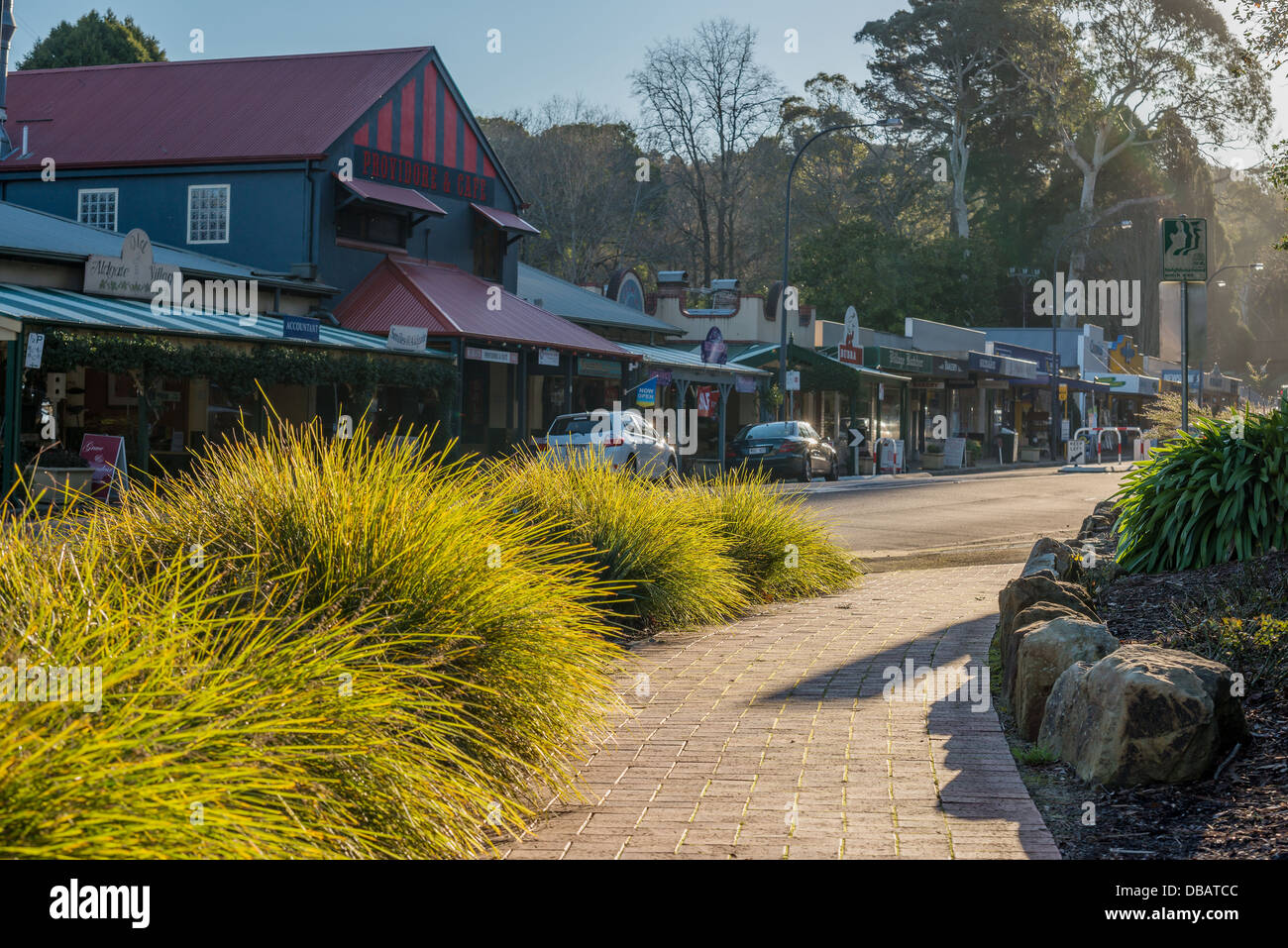 Adelaide street trees hi-res stock photography and images - Alamy