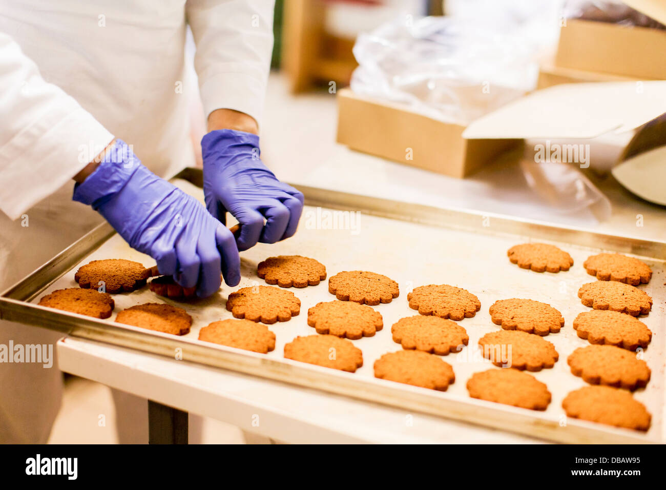 Cookies manufacturing process automated cookie hi-res stock photography ...