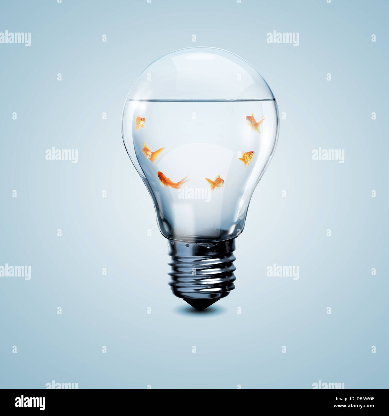 Gold fish inside an electric bulb Stock Photo - Alamy