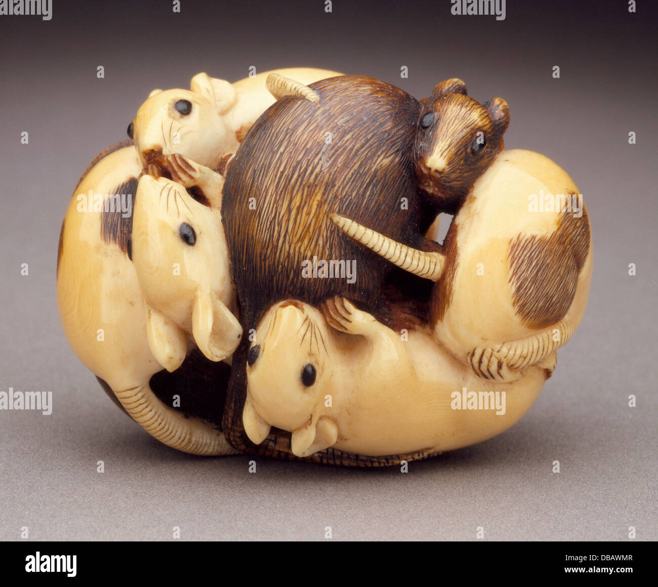 Seven Rat Group M.87.263.116 Stock Photo - Alamy