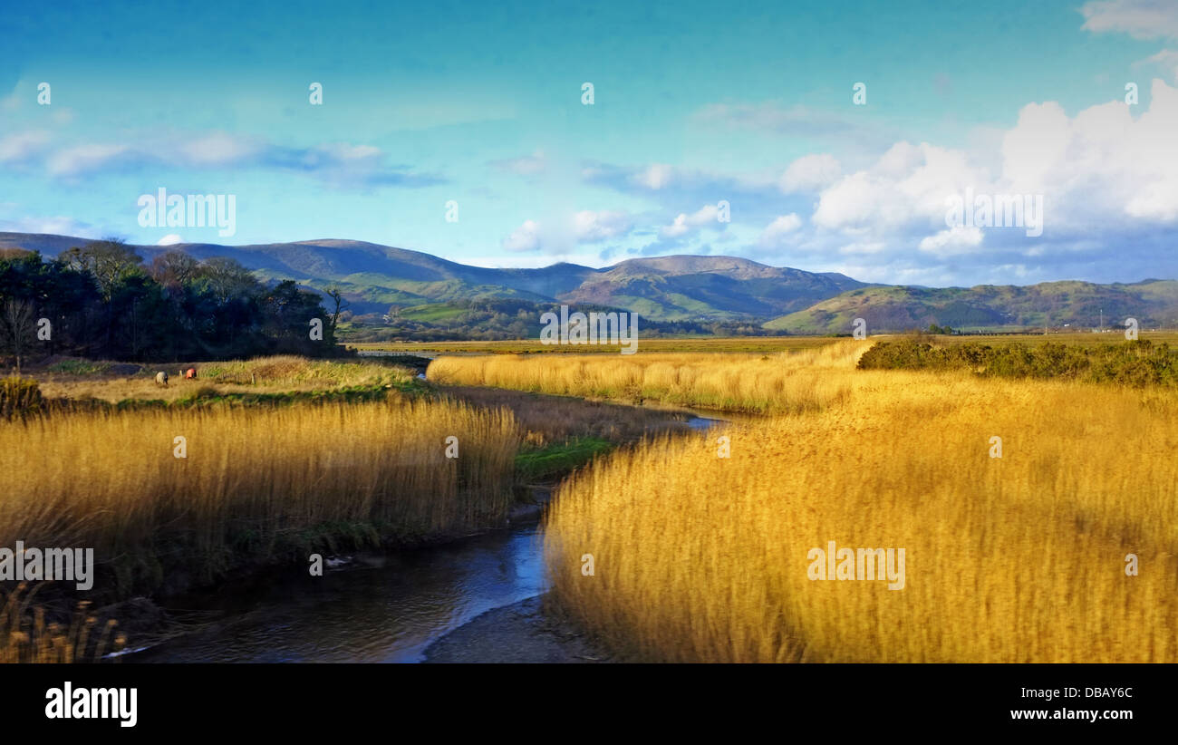 Cambrian hi-res stock photography and images - Alamy