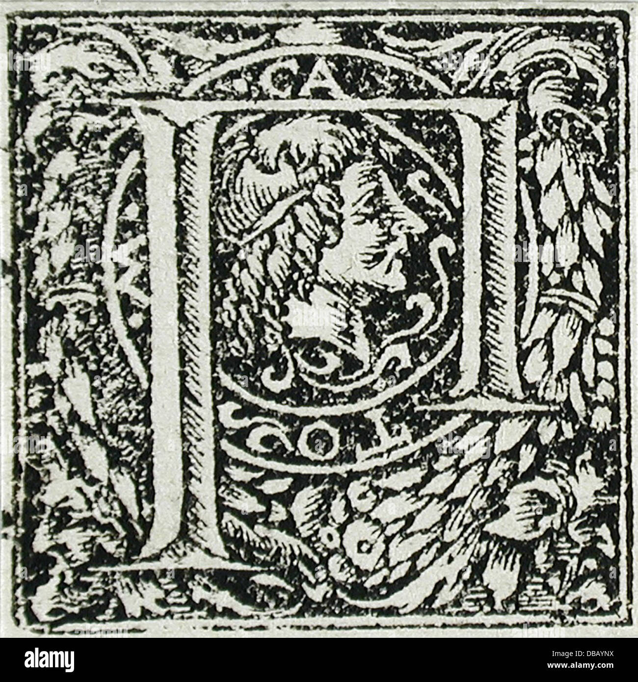 A set of ornamental letters, including M, P, and Q, showcasing ...