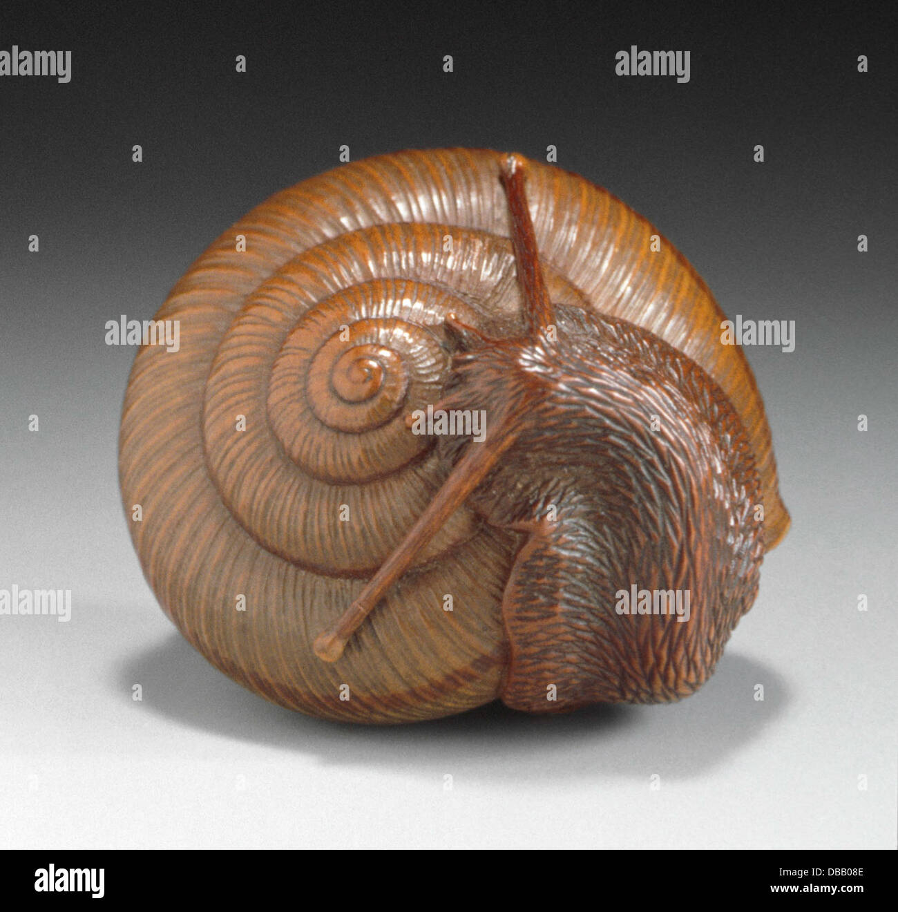 This bronze cast sculpture, titled 'Snail,' depicts a stylized snail in ...