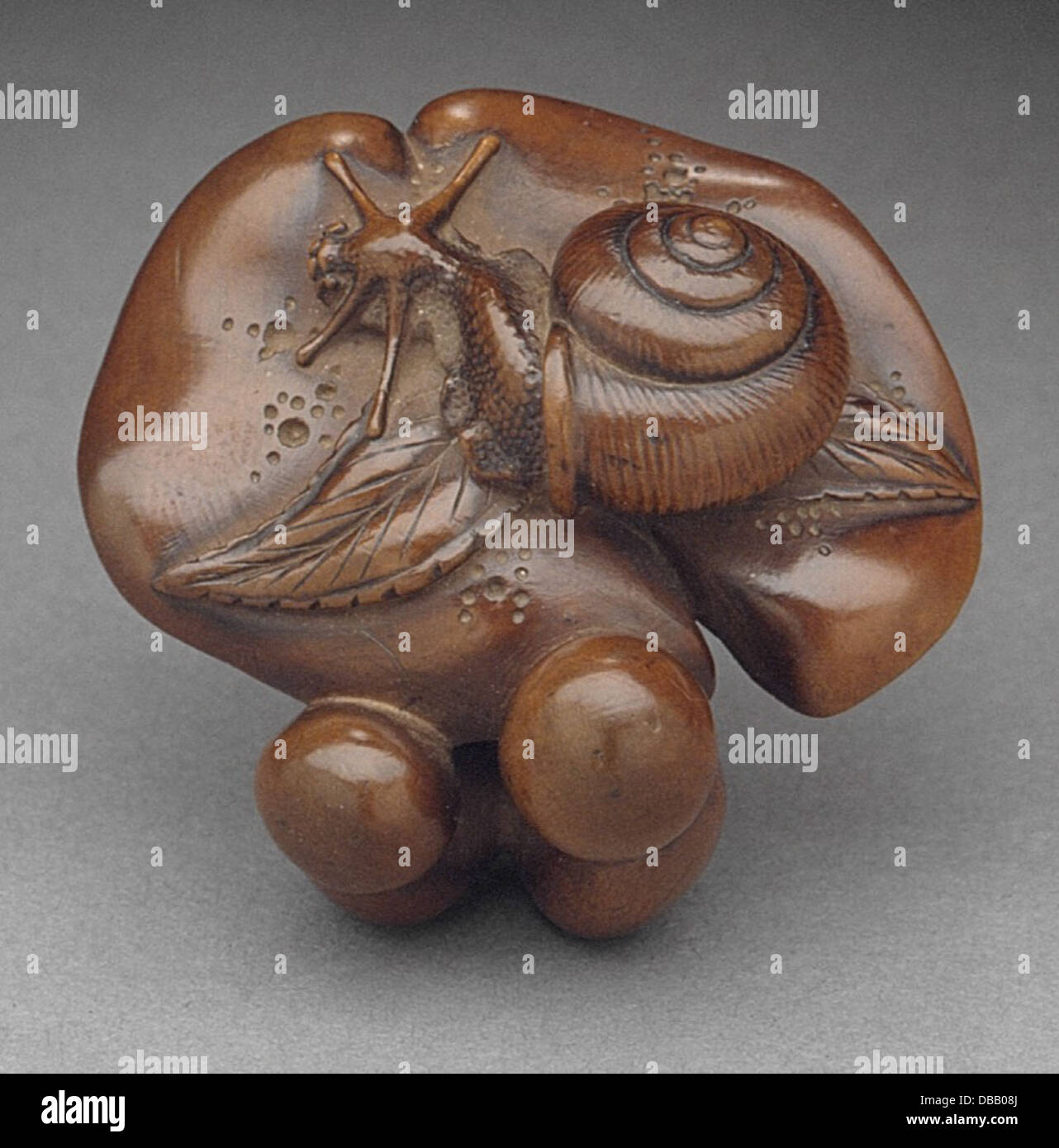 Snail forms hi-res stock photography and images - Alamy