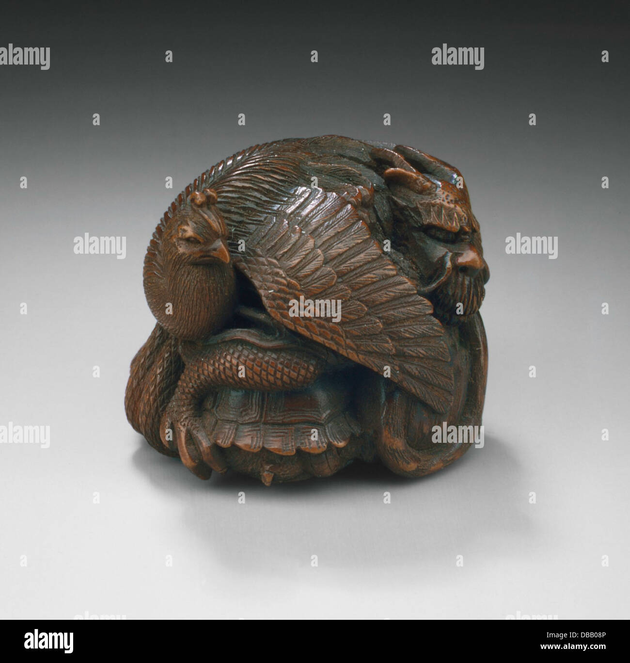 Tiger snake snake hi-res stock photography and images - Alamy