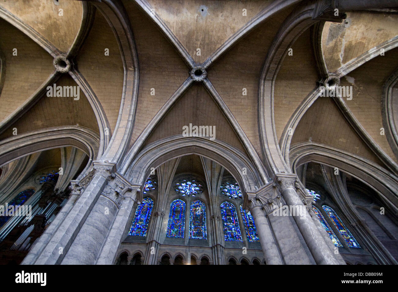 Chartres Cathedral Vaults