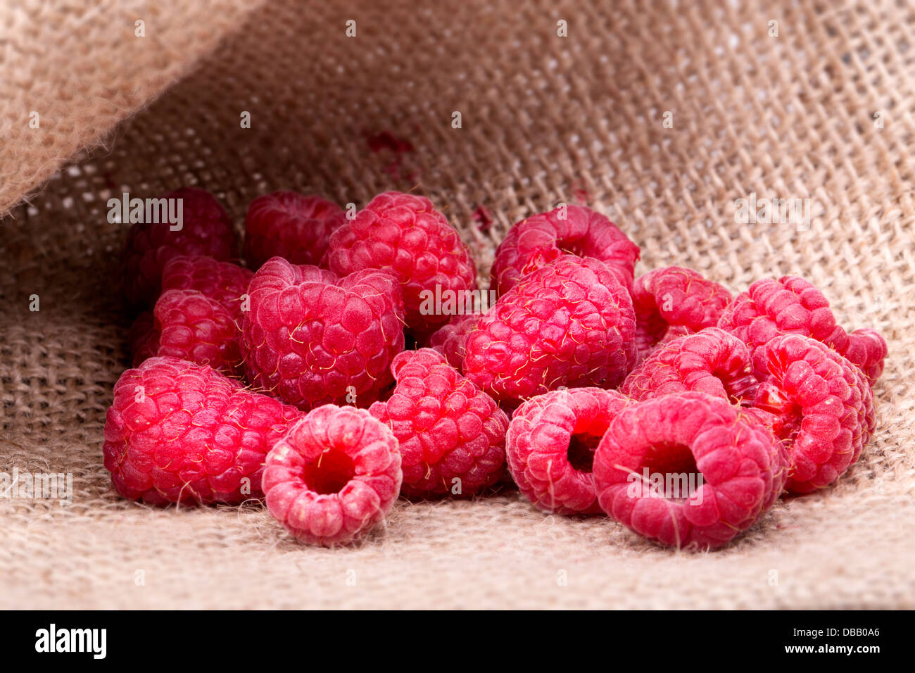 A beautiful selection of freshly picked ripe red raspberries Stock ...
