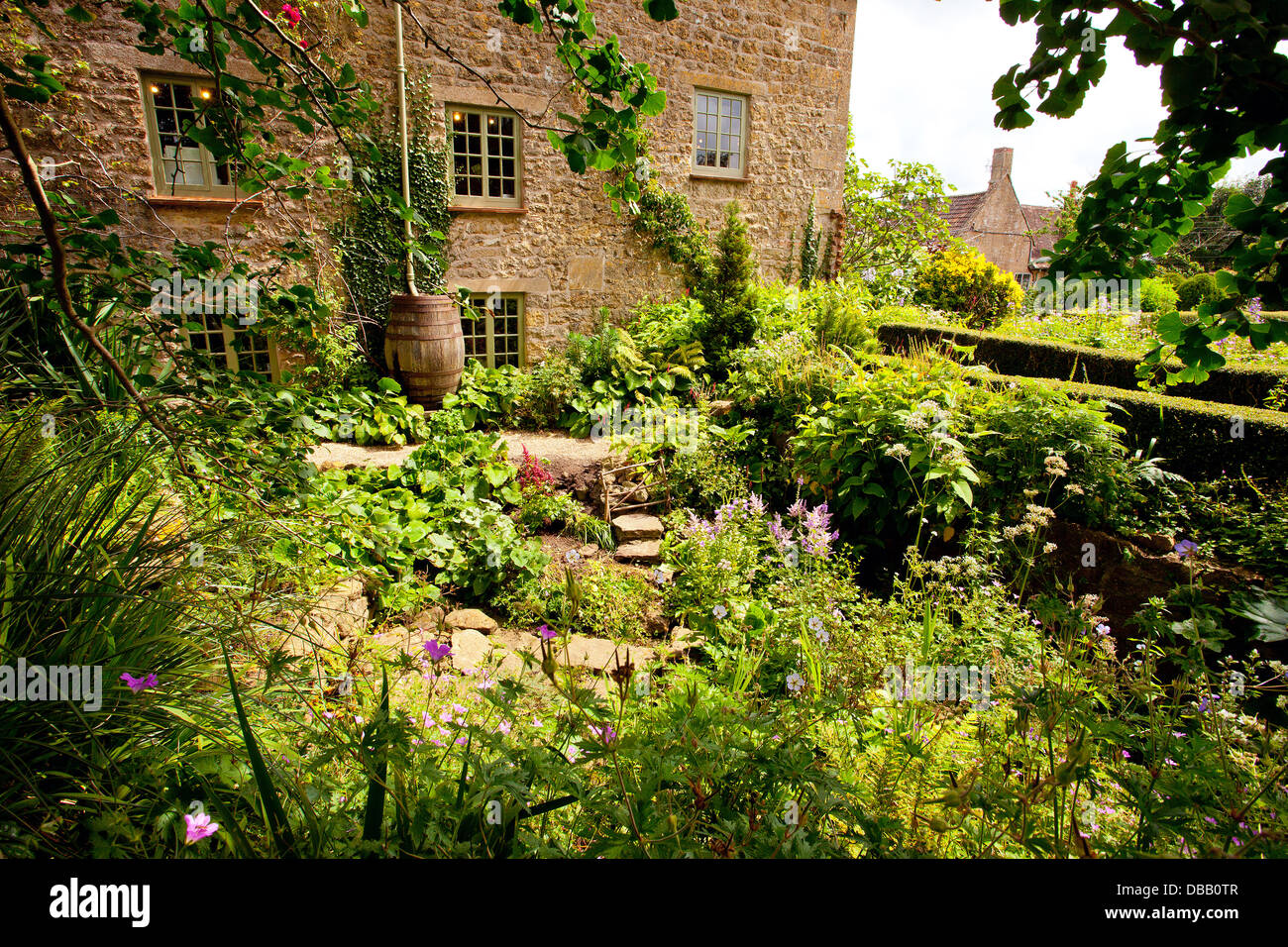 East Lambrook Manor Gardens, location of the famous Margery Fish ...
