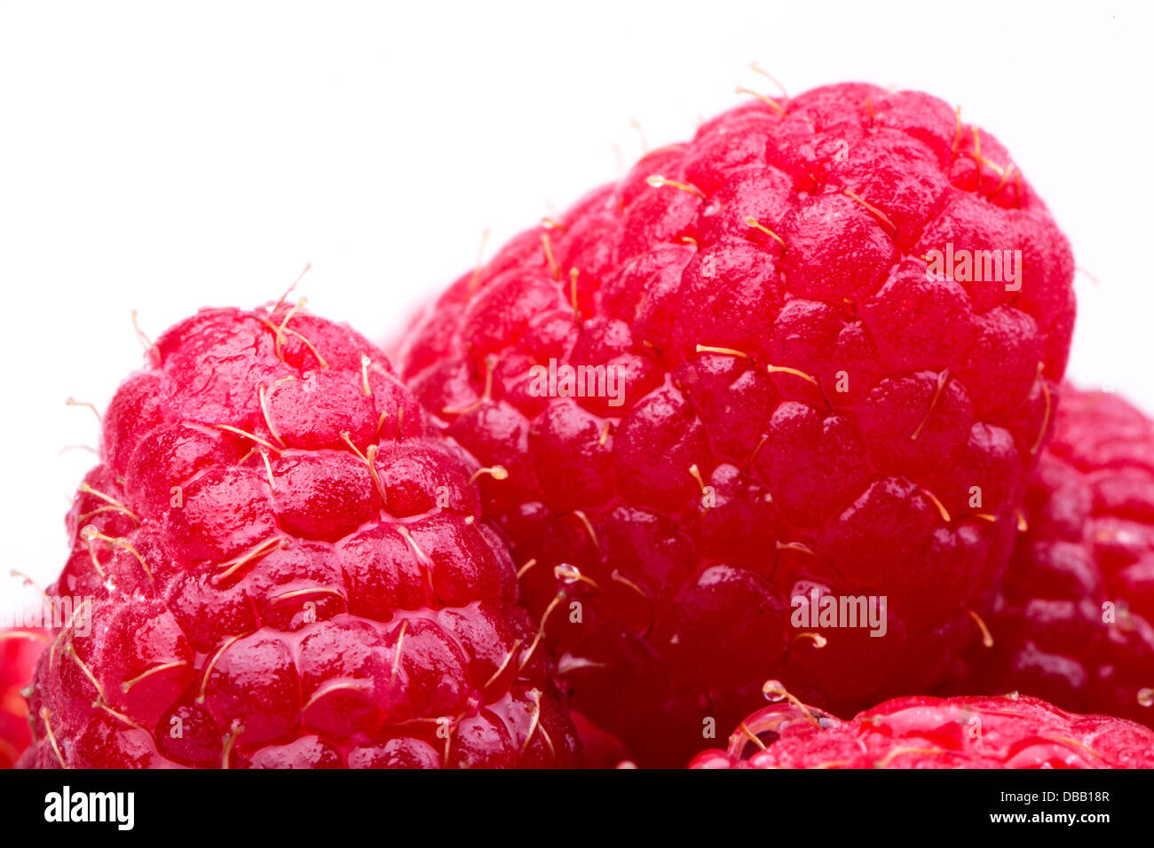 A beautiful selection of freshly picked ripe red raspberries Stock ...
