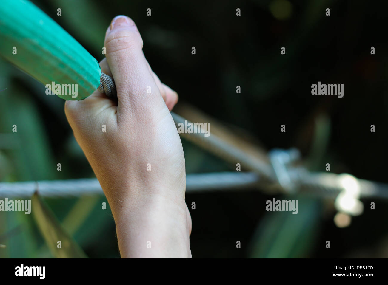 Hand holding onto a Wire rope in full strength Stock Photo - Alamy