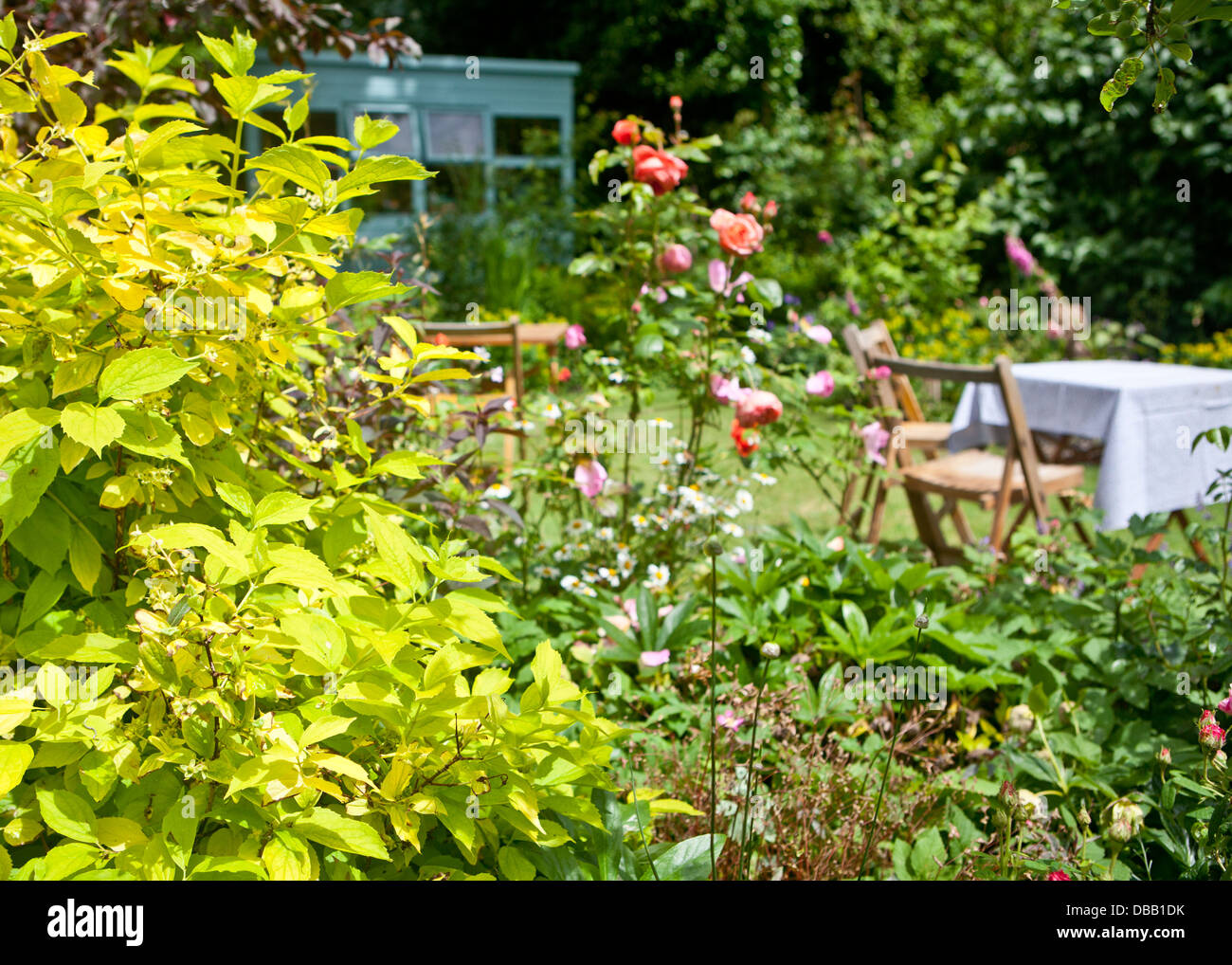 flowers in a country garden Stock Photo - Alamy