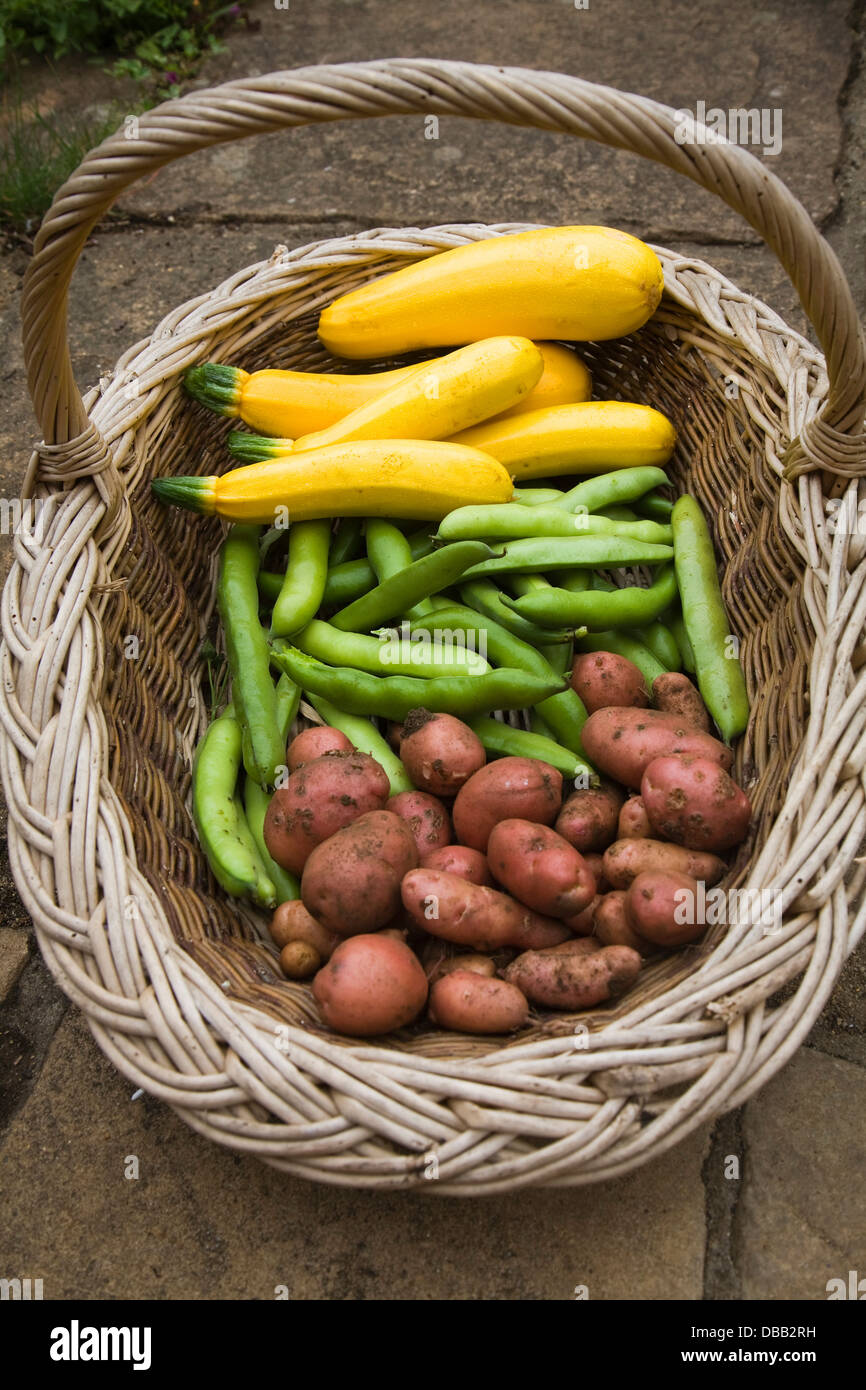 Vegetable vegetables garden hi-res stock photography and images - Alamy