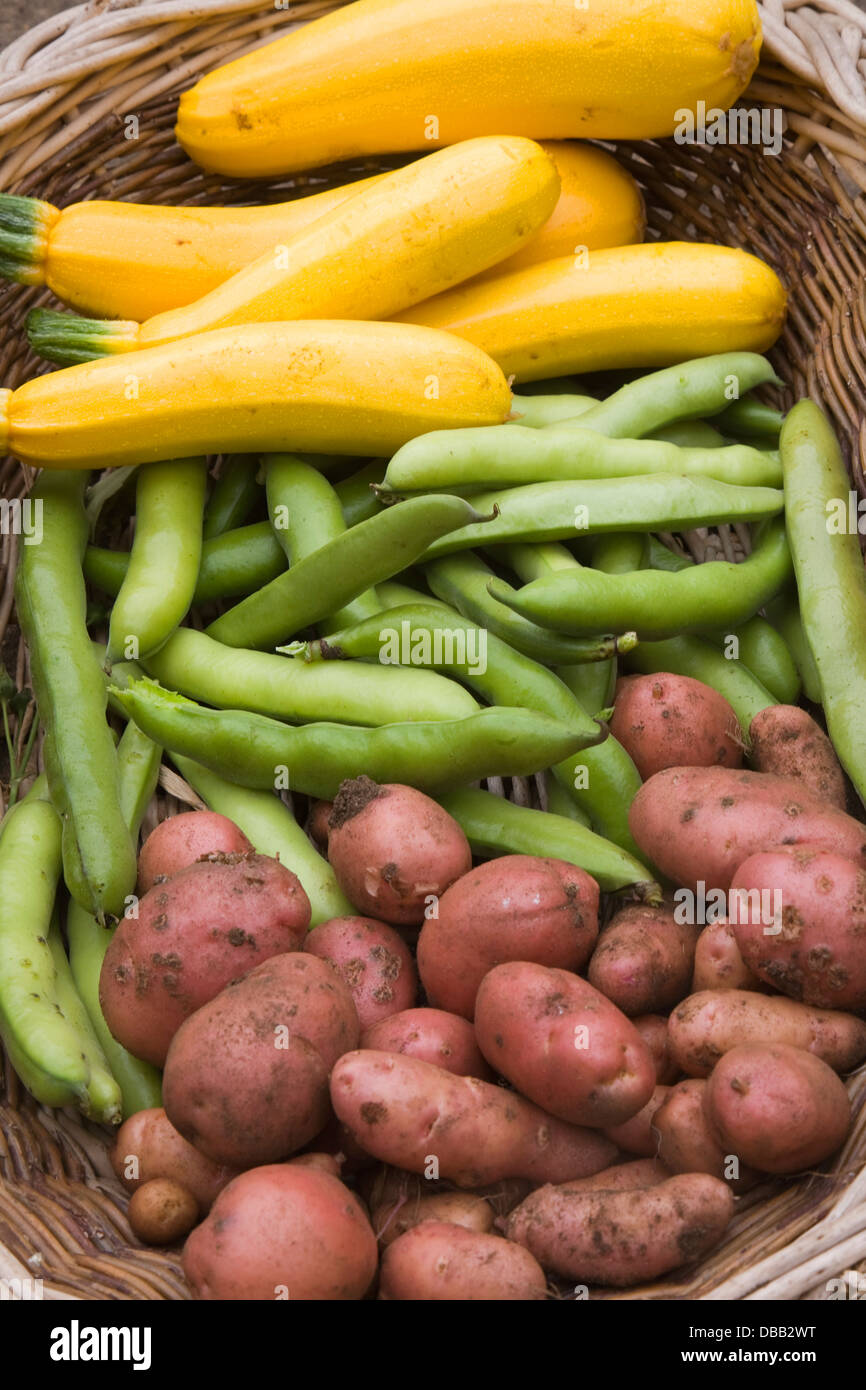 Vegetable vegetables garden hi-res stock photography and images - Alamy