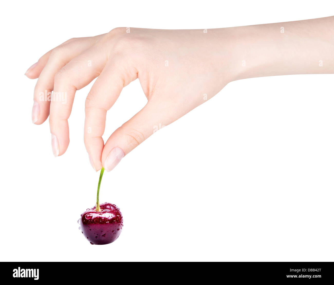 cherries in the women's hand isolated on white background Stock Photo ...
