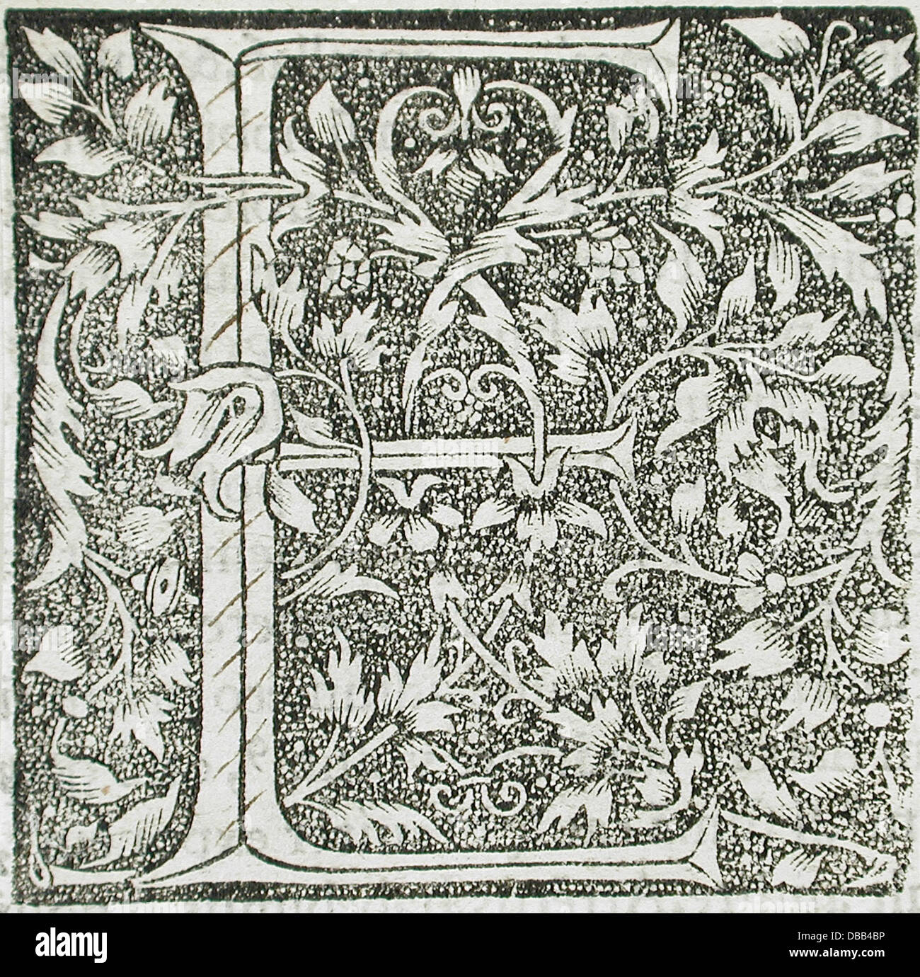 These ten ornamental letters, part of LACMA's collection, represent ...