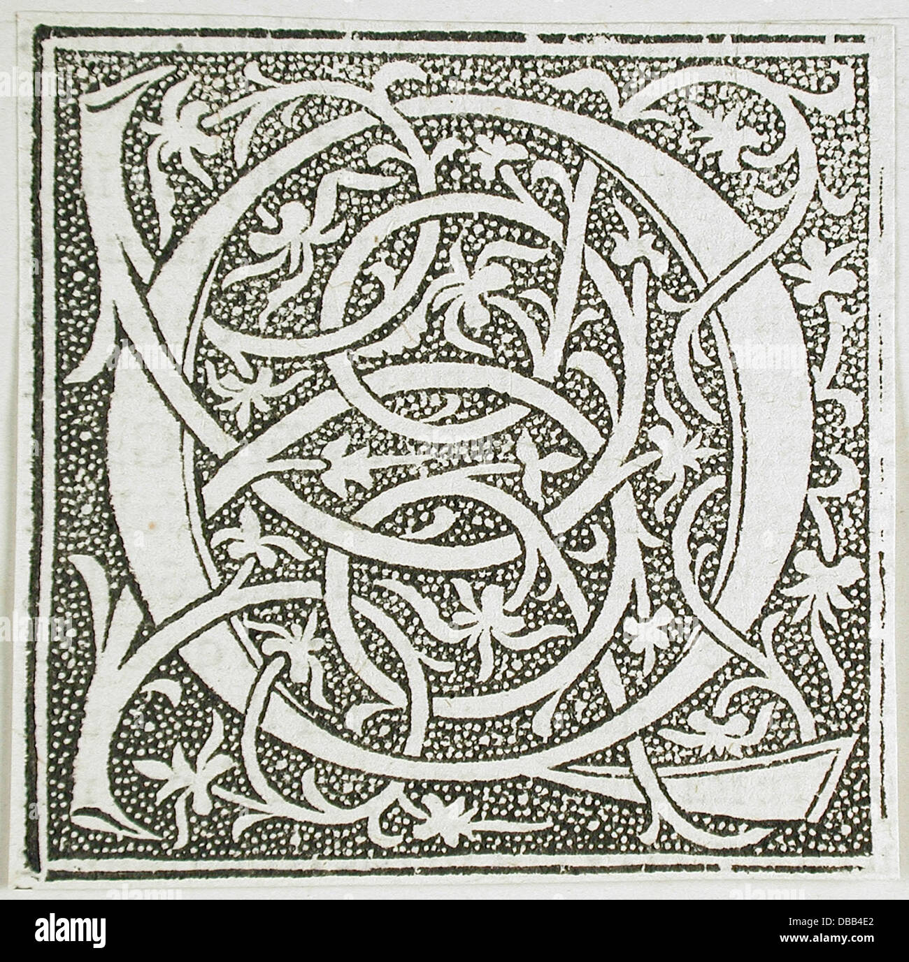 Fine manuscripts hi-res stock photography and images - Alamy