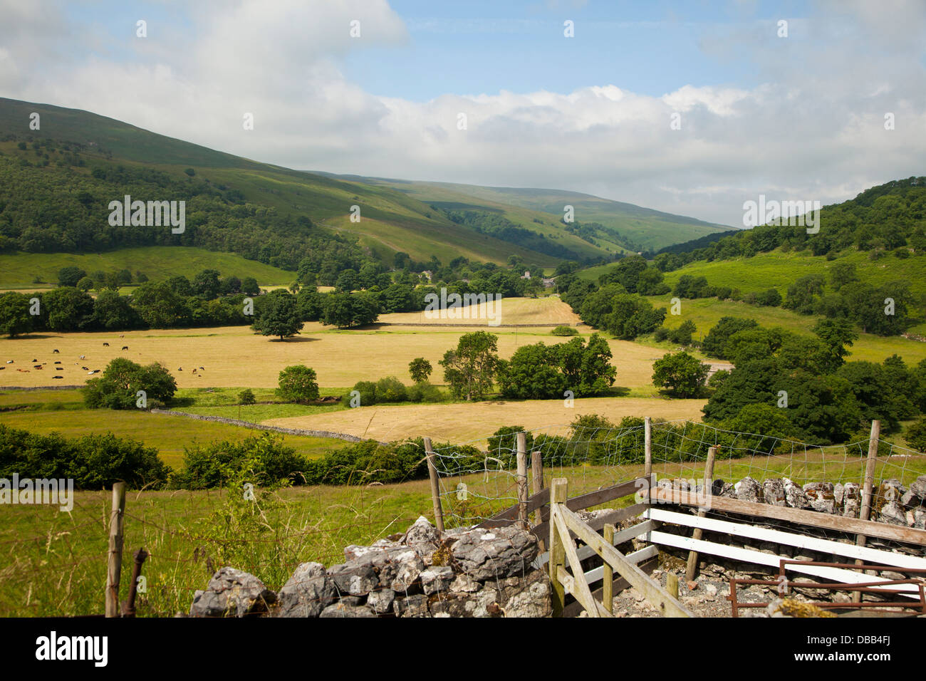Farmland Yorkshire UK Stock Photo - Alamy