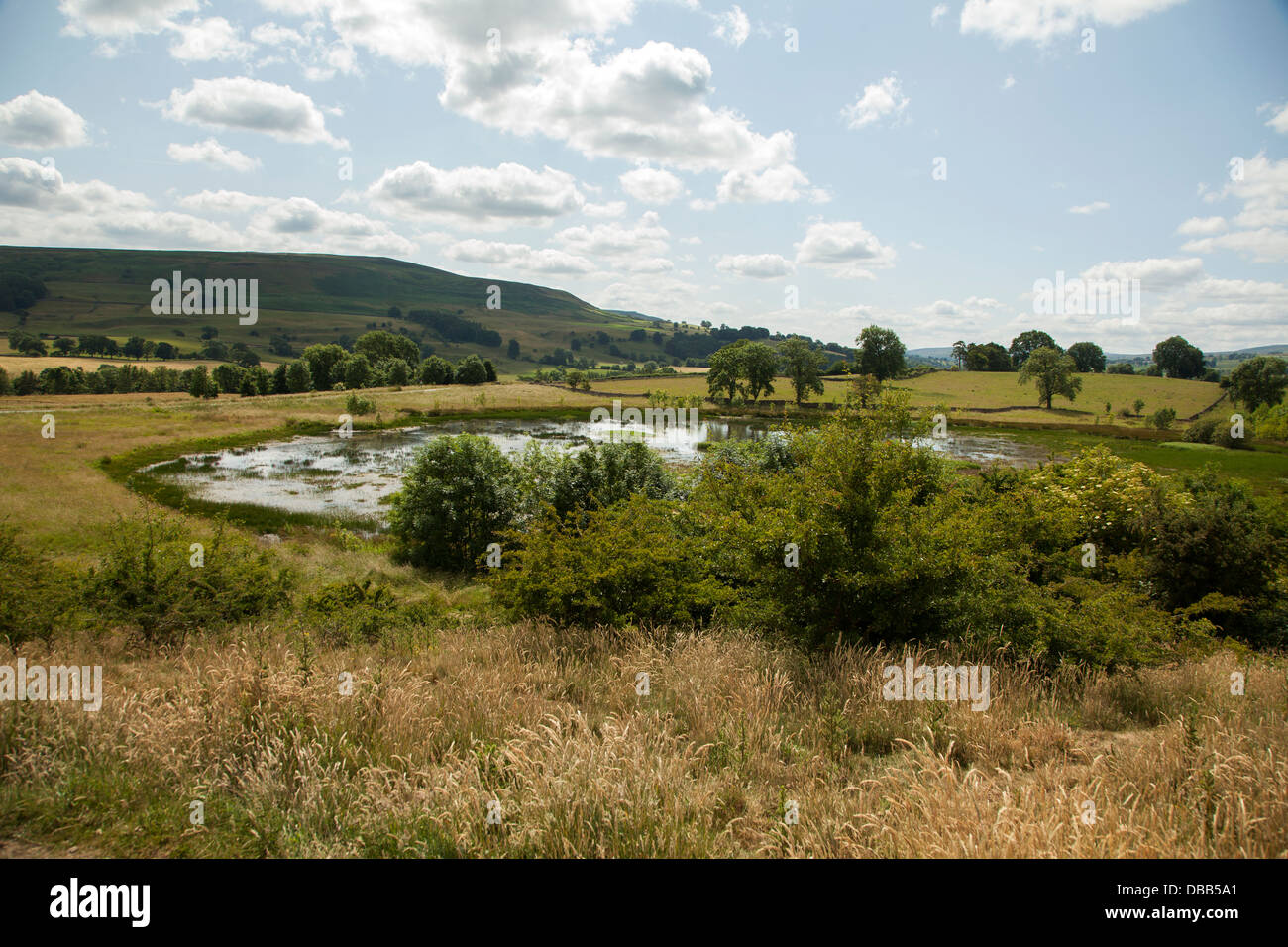 Middleham uk hi-res stock photography and images - Alamy