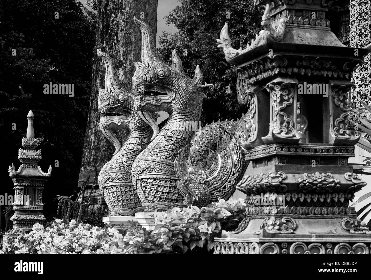 Dragon guard statue buddhist temple hi-res stock photography and images ...