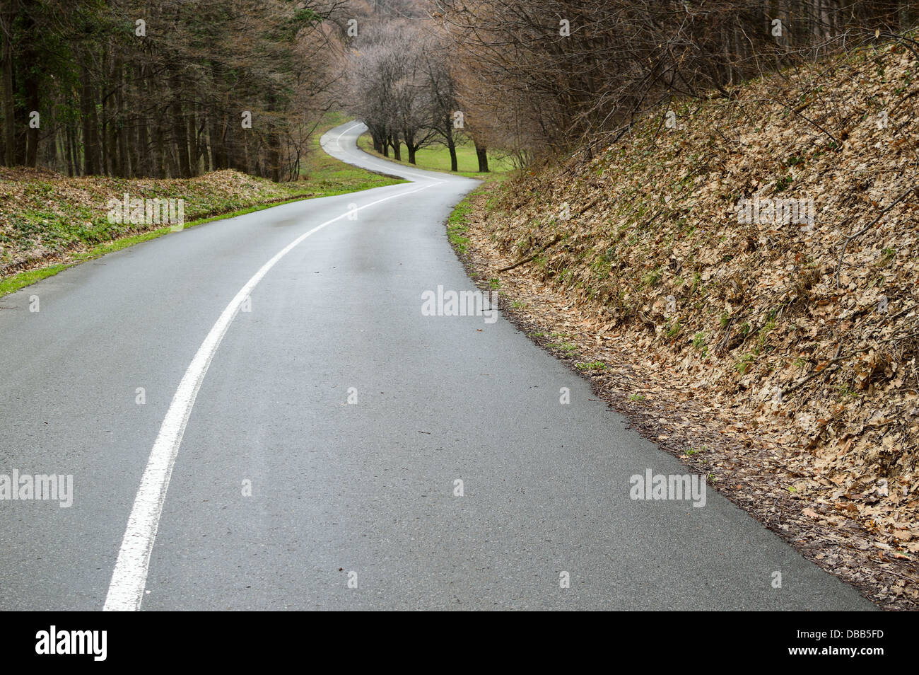 Linear Perspective Photography Roads