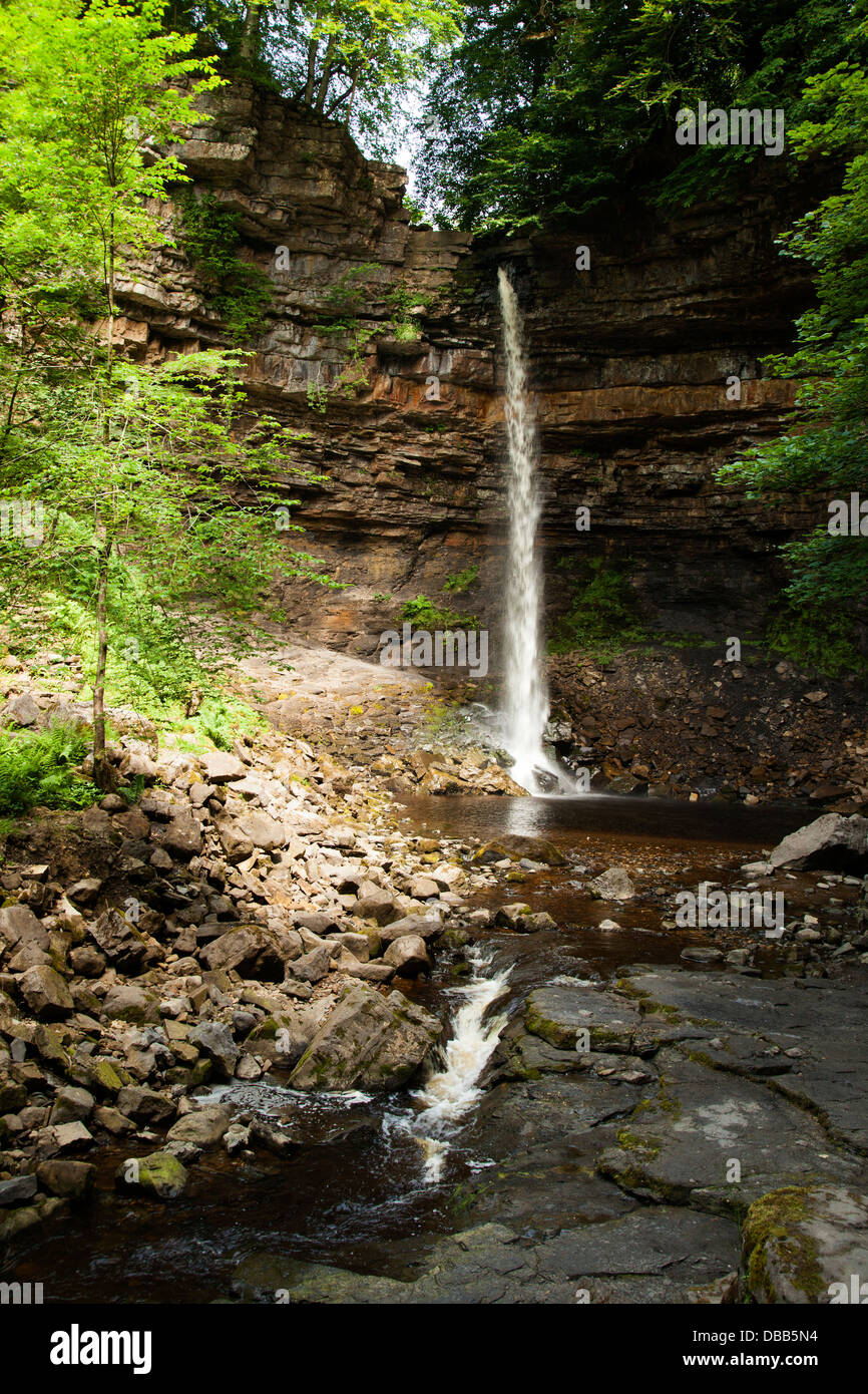 Hardraw Force, Yorkshire's highest waterfall in summer Stock Photo - Alamy