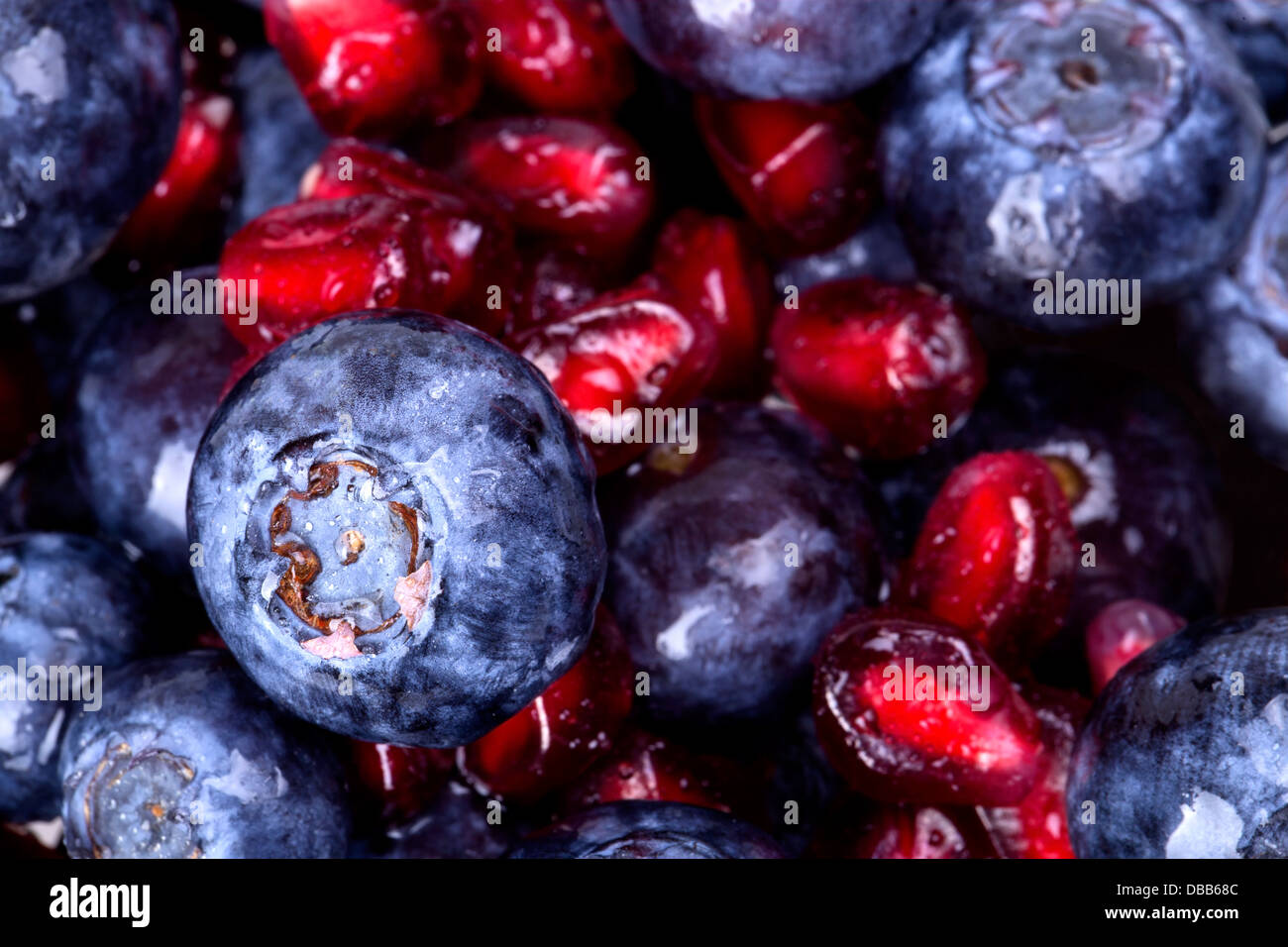 Freshly picked blue berries with water drops Stock Photo - Alamy