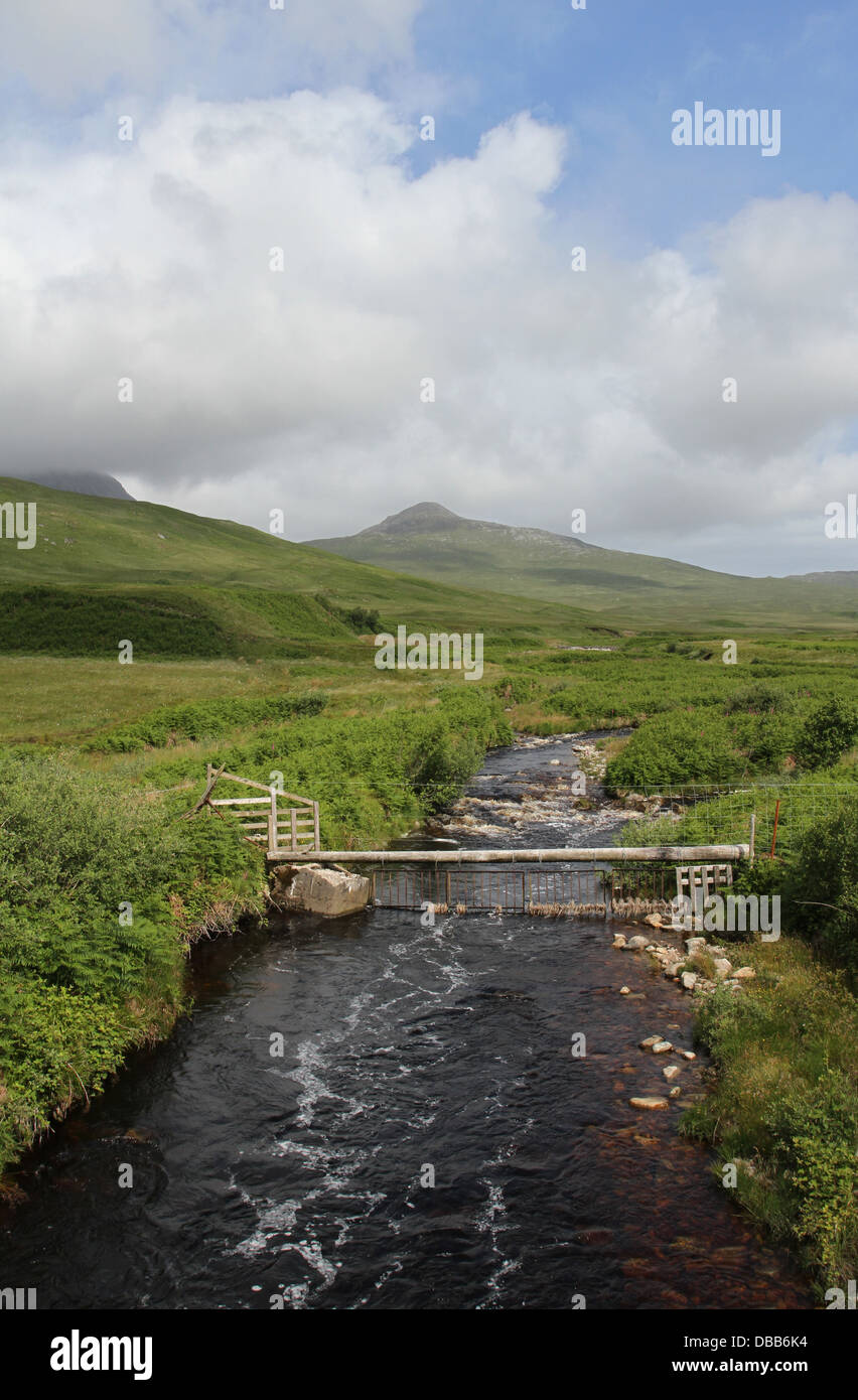 Corra hi-res stock photography and images - Alamy