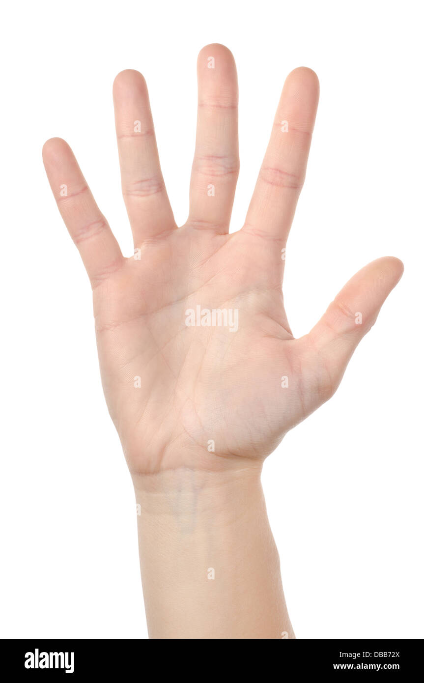 Human hand isolated on white background Stock Photo - Alamy