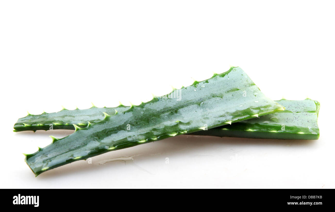 Aloe succotrina Cut Out Stock Images & Pictures - Alamy