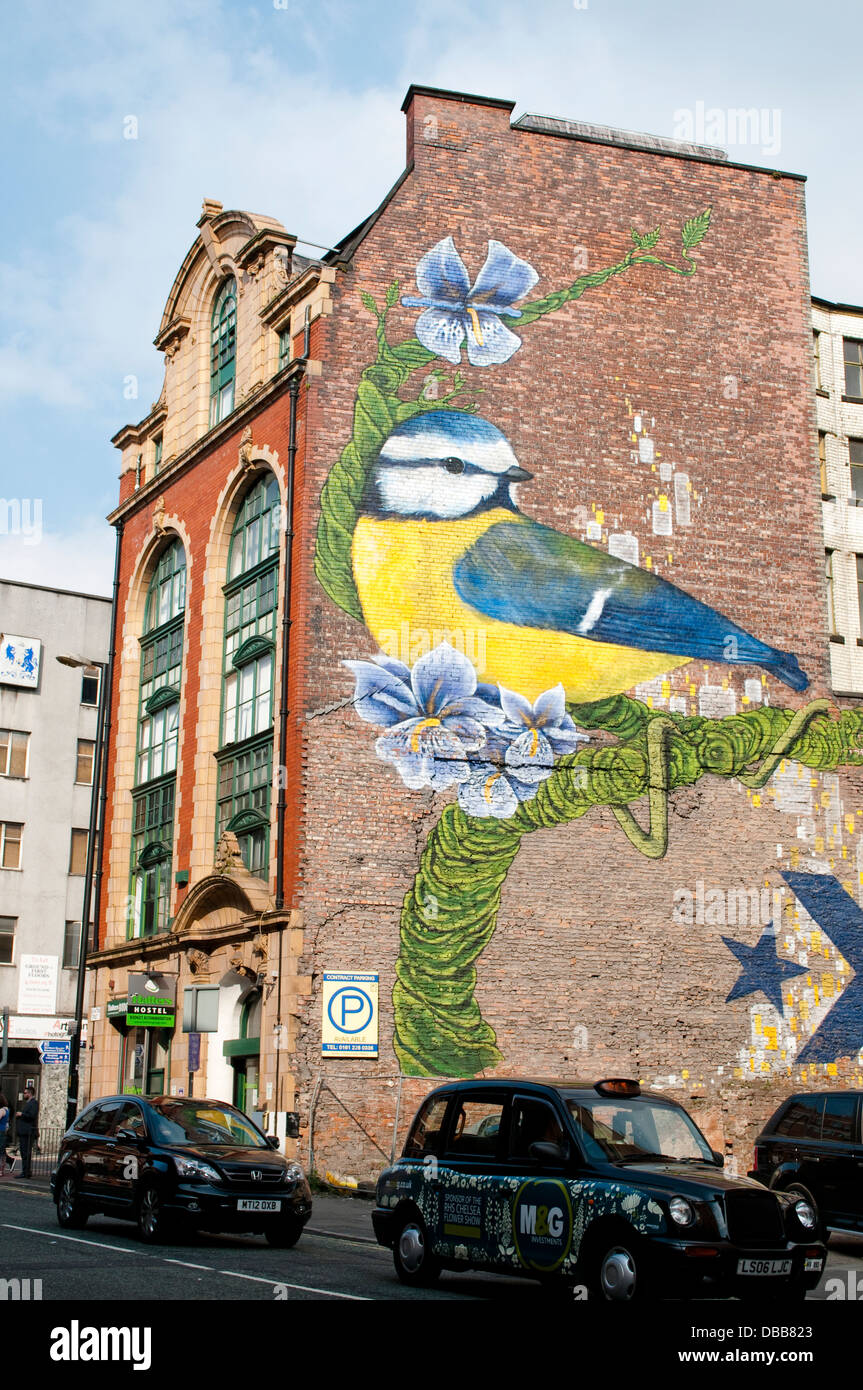 House with the bird painting, Northern Quarter, Manchester, UK Stock ...