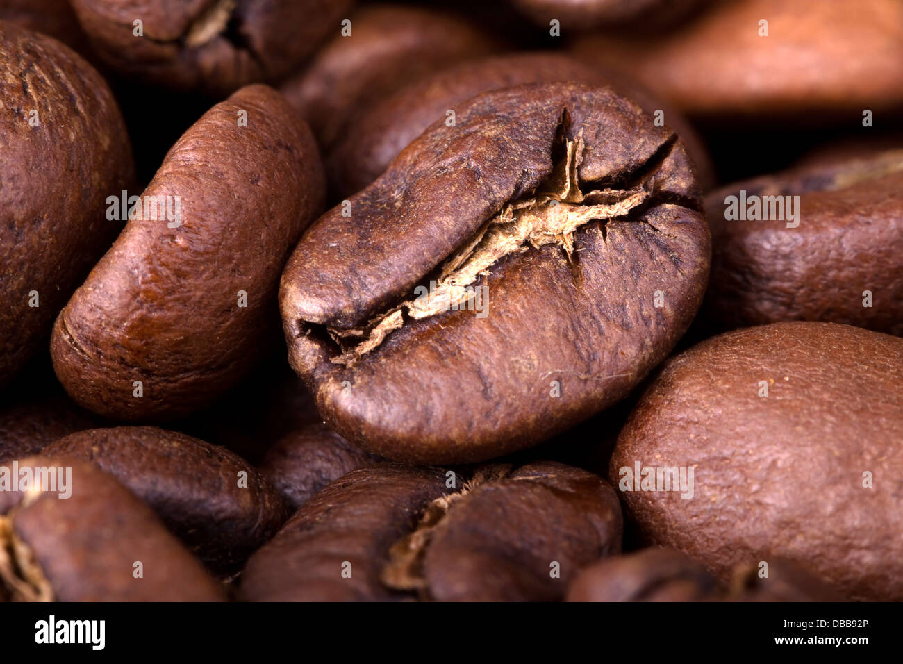 Closeup of coffee beans. Coffee bean on macro ground coffee background ...