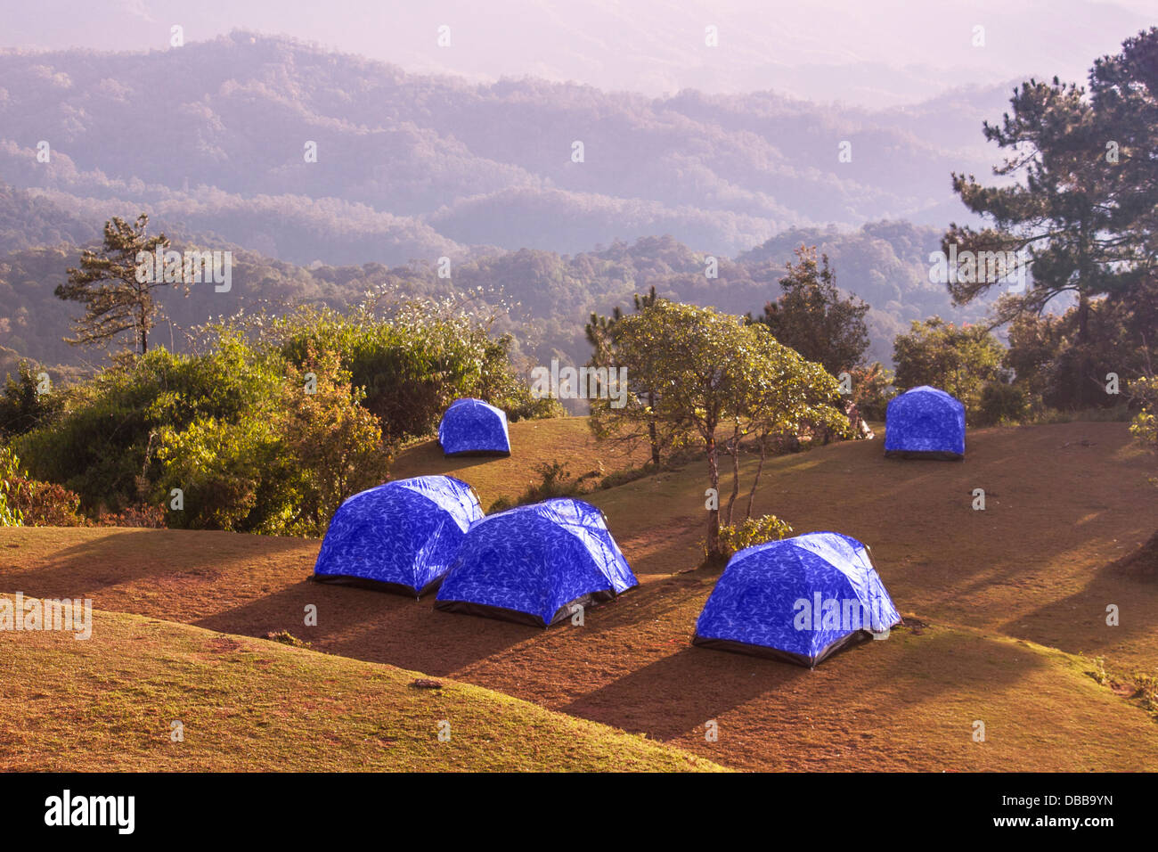 Tent camping in nature with wide angle landscape Stock Photo - Alamy