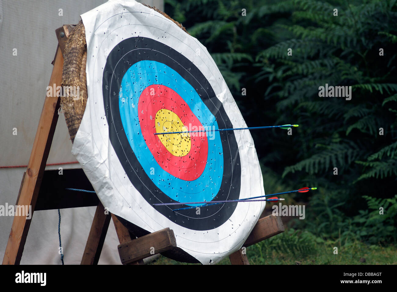 target butt bull white black red blue gold straw aim pierce archery ...