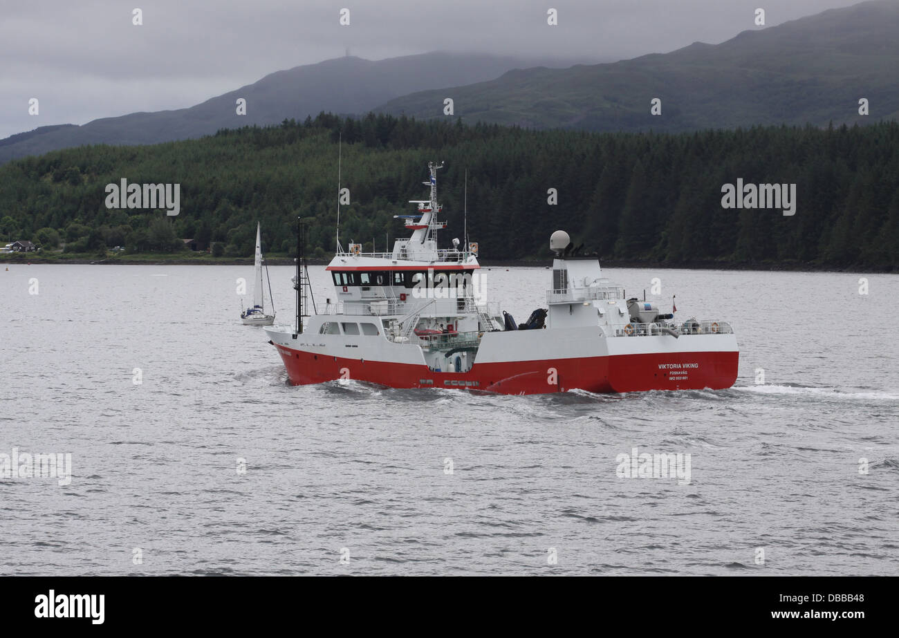 live fish carrier Viktoria Viking in Sound of Mull Scotland July 2013 ...