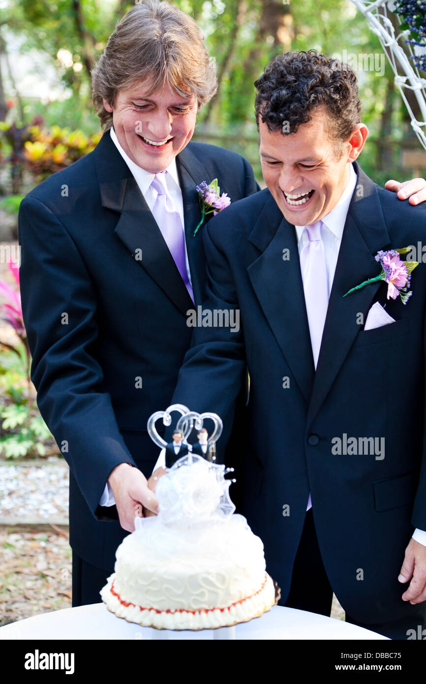 Two happy grooms cutting the cake at their wedding Stock Photo - Alamy