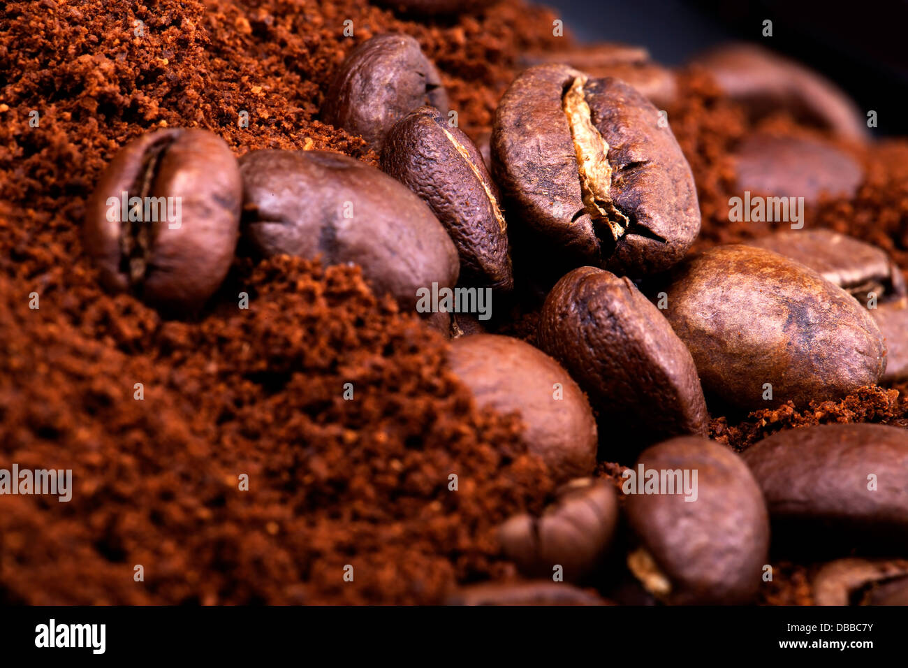 Closeup of coffee beans. Coffee bean on macro ground coffee background ...