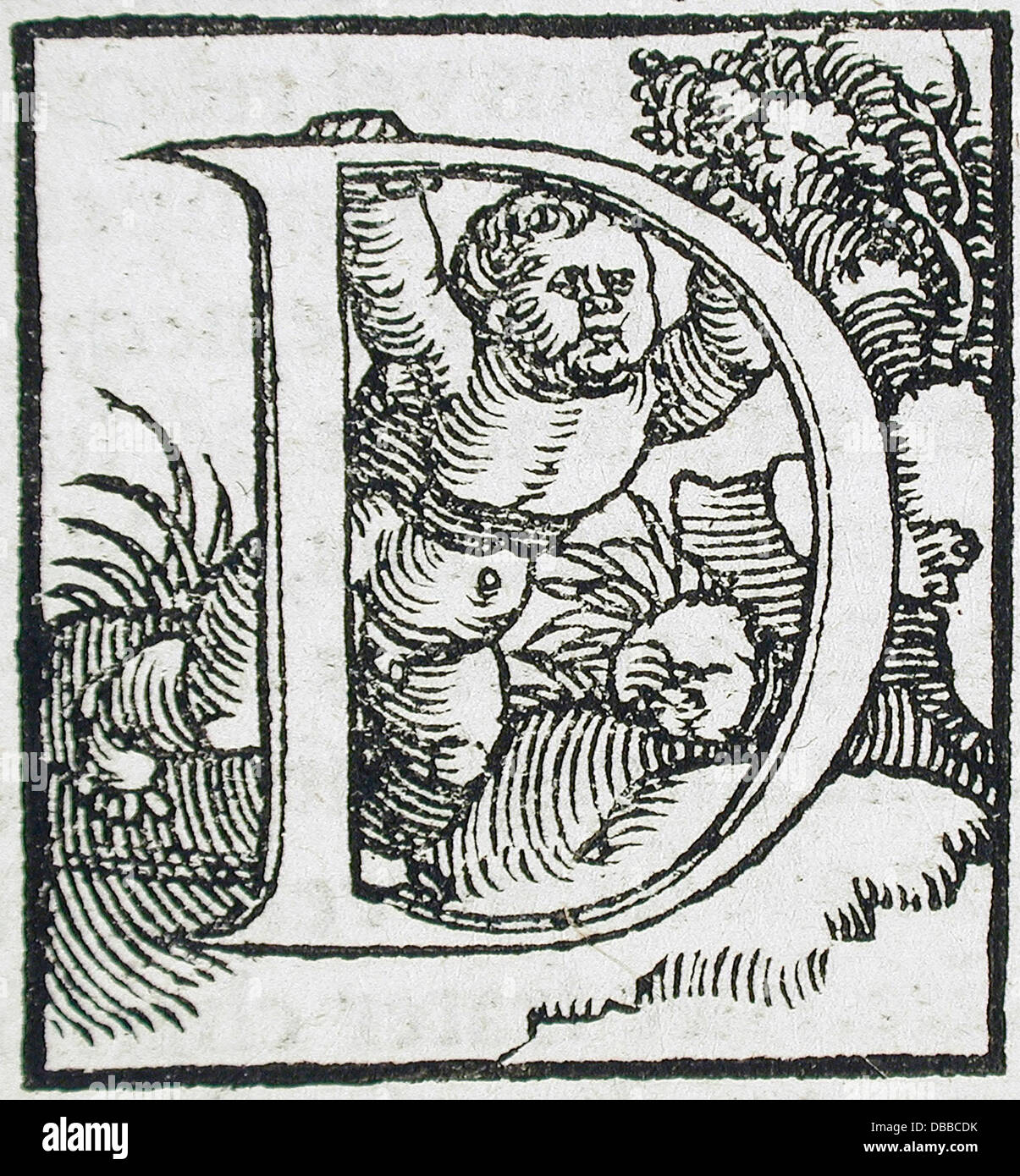 A set of ornamental letters, hand-crafted with intricate designs ...