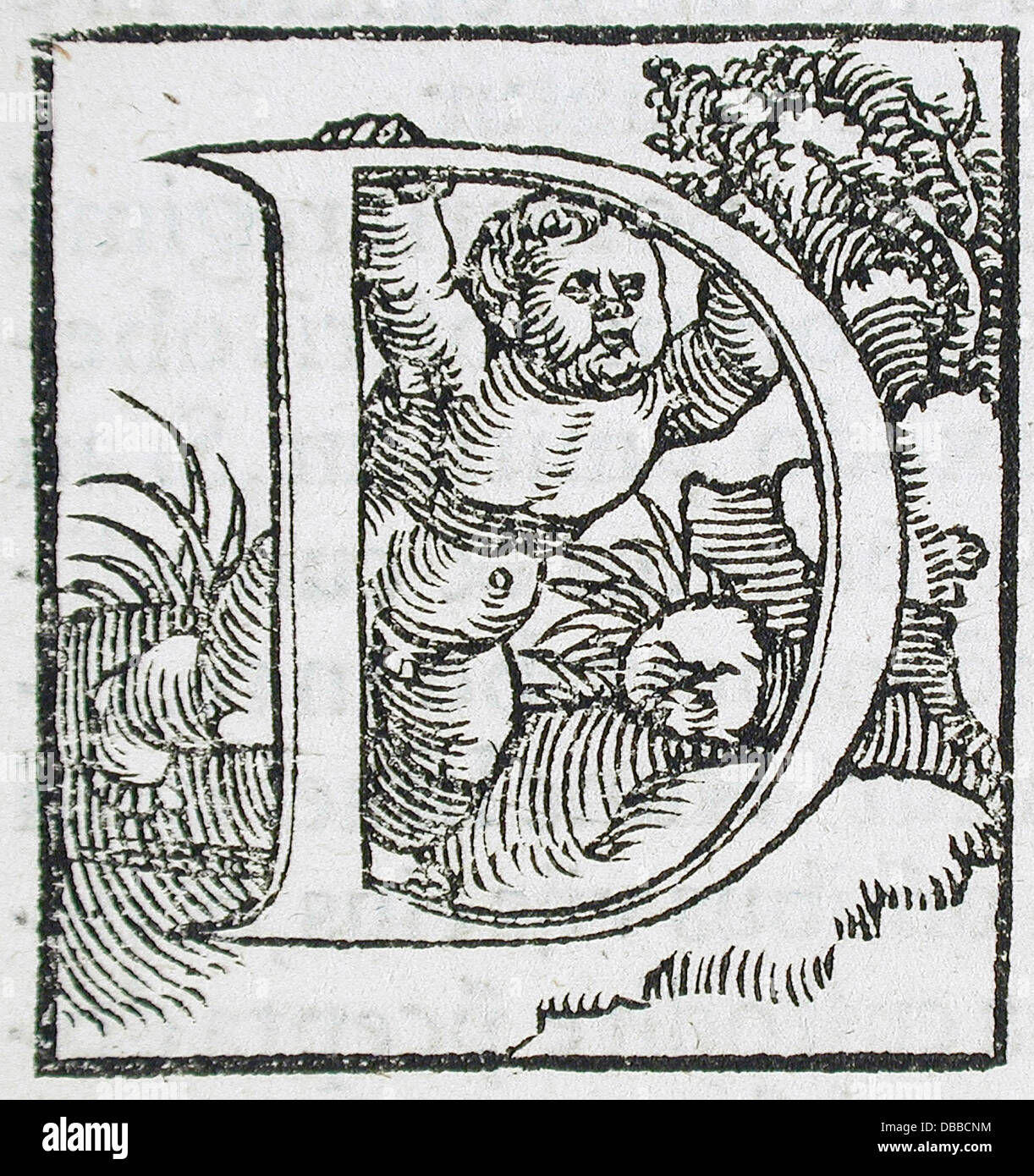 This collection of ornamental letters from the Los Angeles County ...