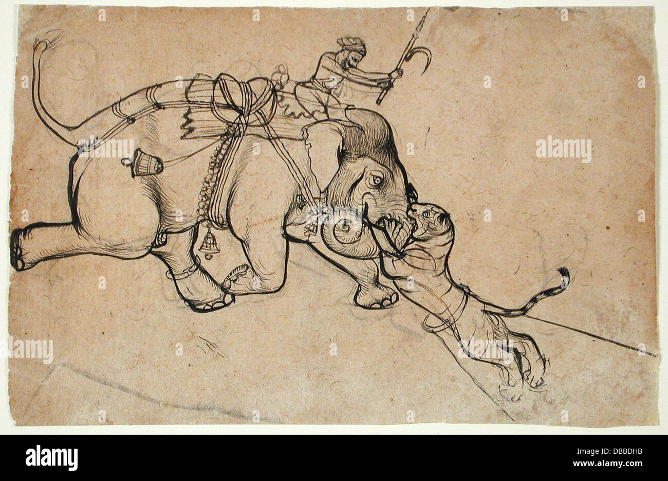 This artwork depicts a dramatic scene of a tiger attacking an elephant ...