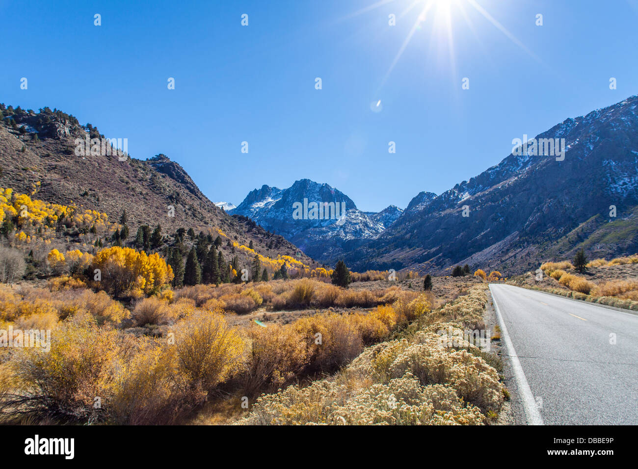 Camp carson hi-res stock photography and images - Alamy