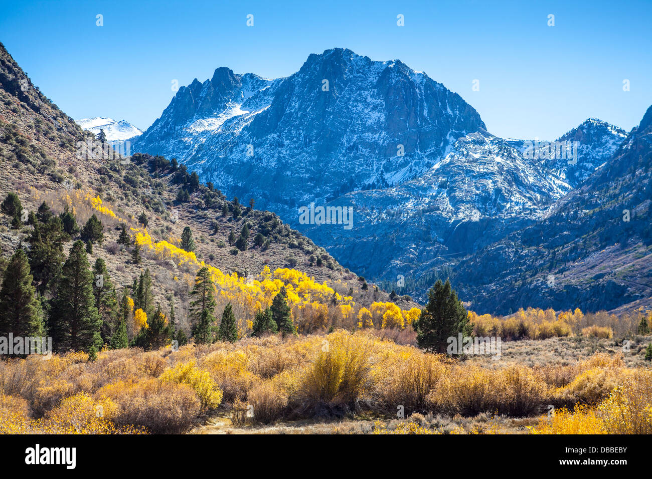Carson Peak from Rush Creek in the June Lake Loop, June Lake California ...