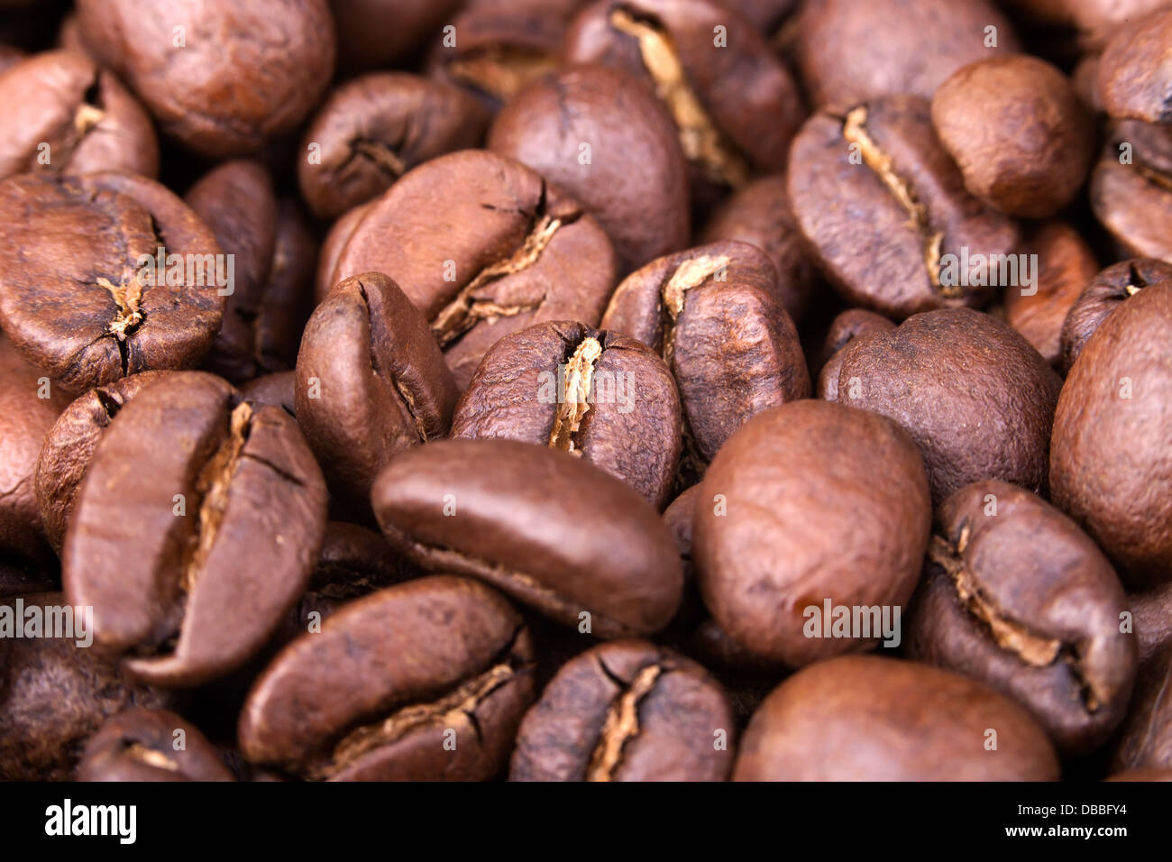 Closeup of coffee beans. Coffee bean on macro ground coffee background ...
