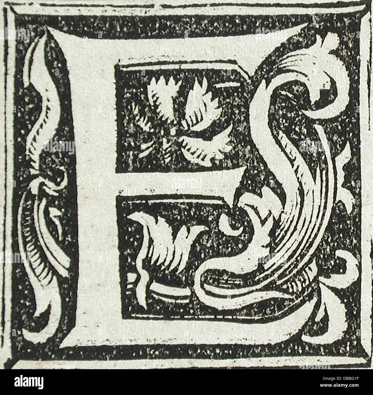 This set of twenty ornamental letters, displayed at LACMA, showcases a ...