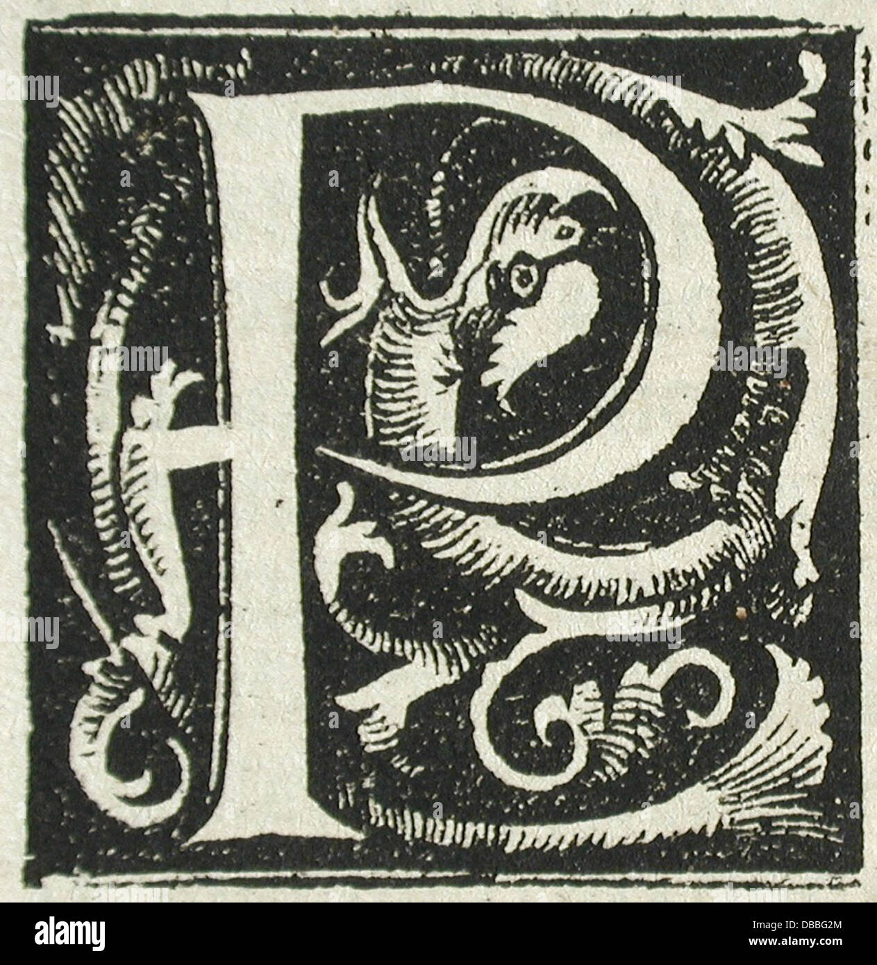 The 'Twenty Ornamental Letters' set, part of the LACMA collection ...