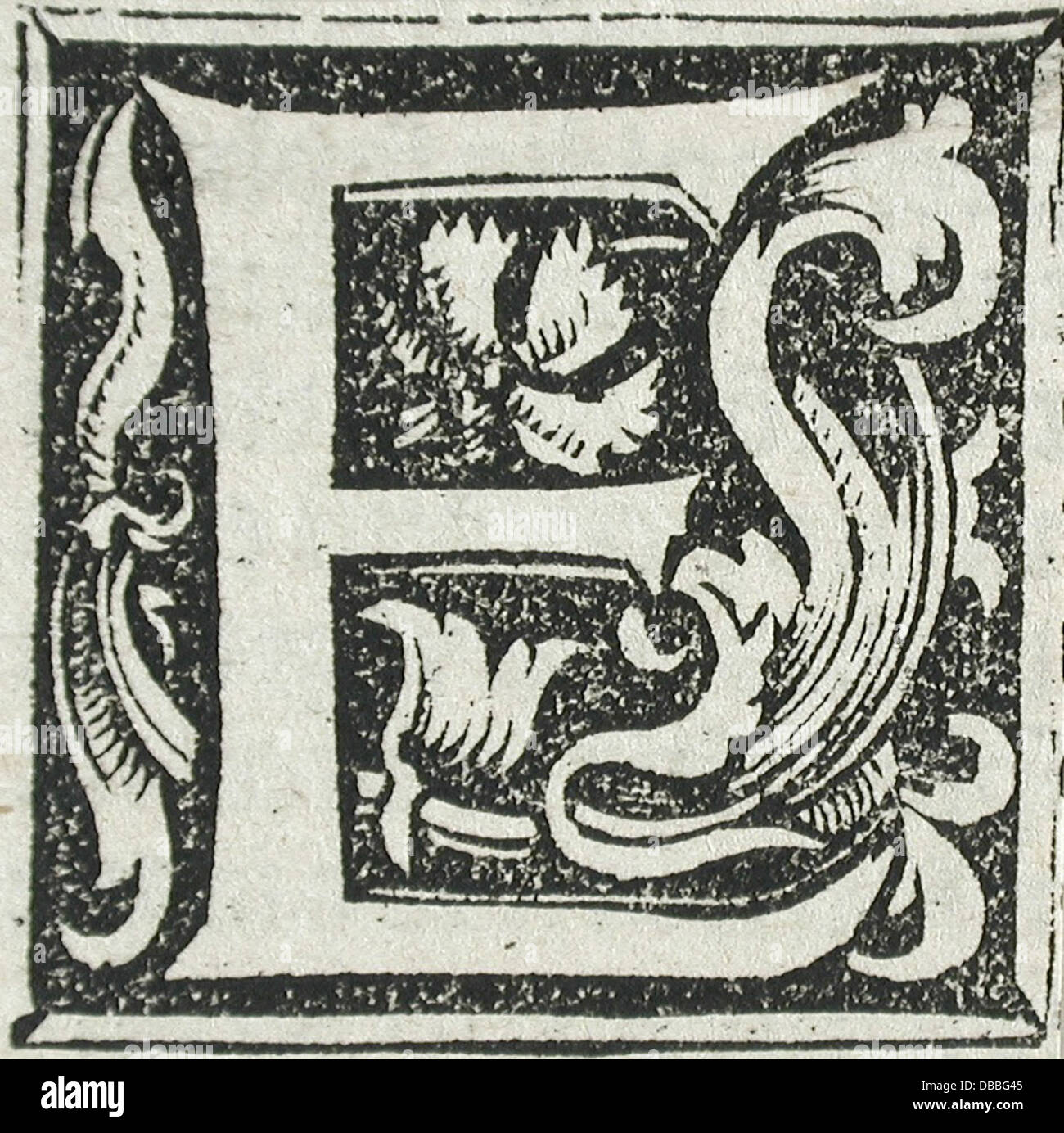 This set of twenty ornamental letters includes detailed designs for the ...